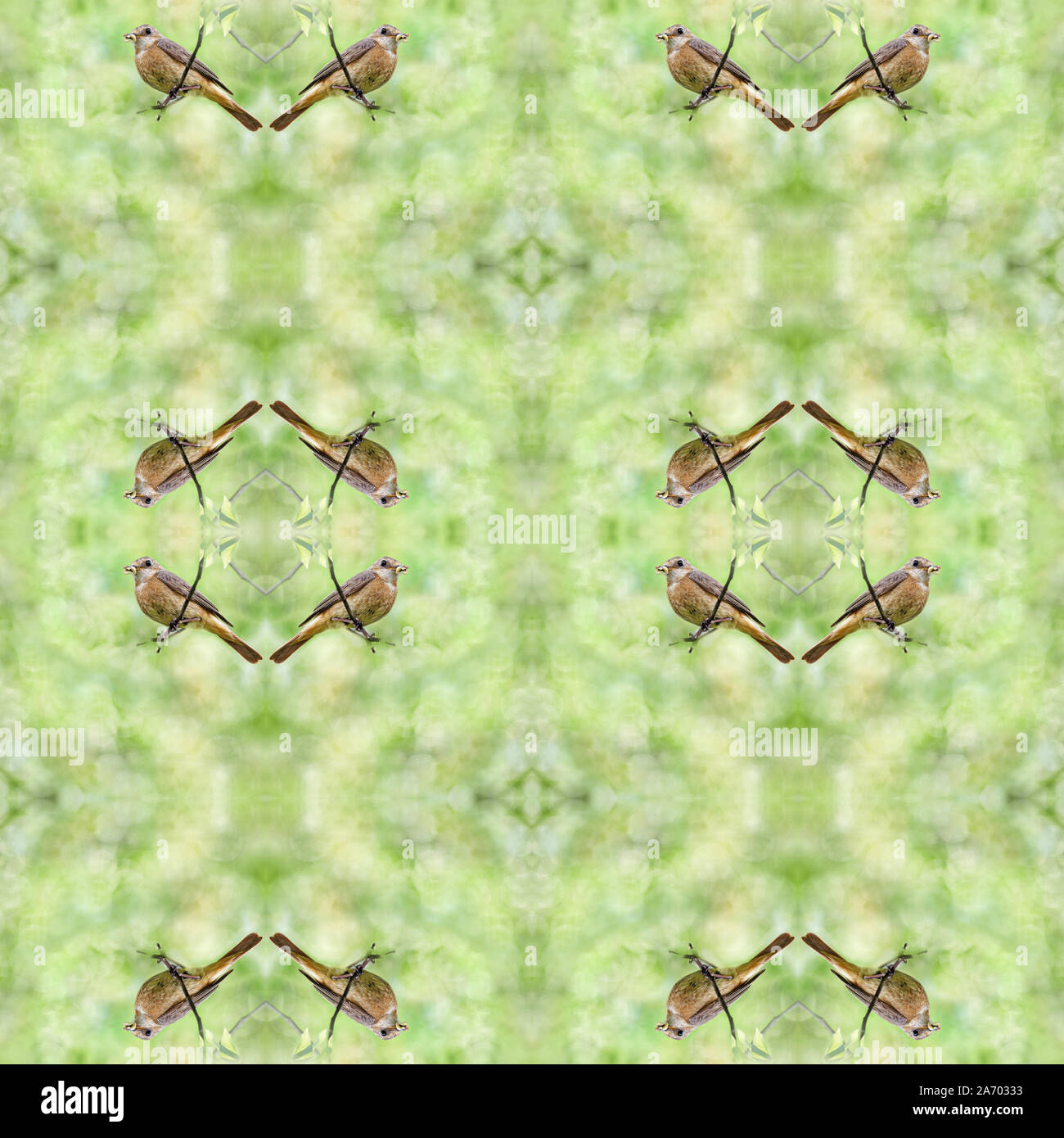 Summer seamless Wallpaper, with birds on a green background Stock Photo ...