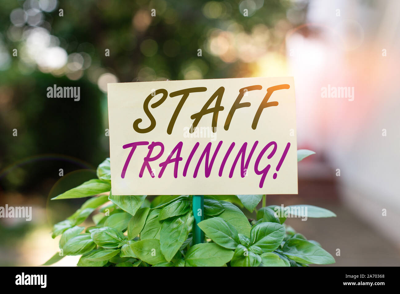 Handwriting text writing Staff Training. Conceptual photo learn ...