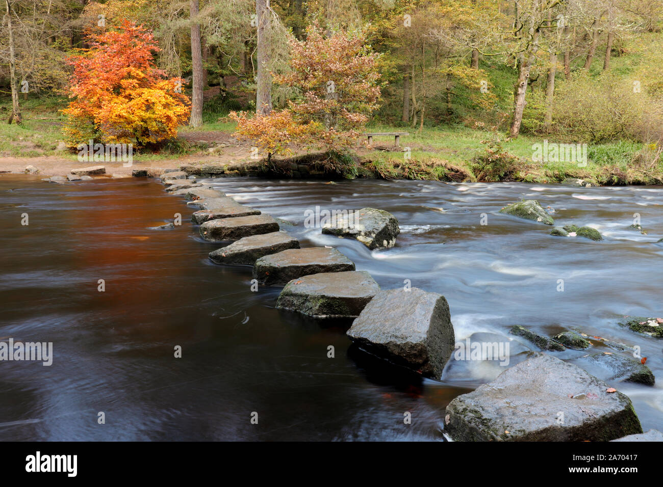 Stepping stones across river Stock Photo - Alamy