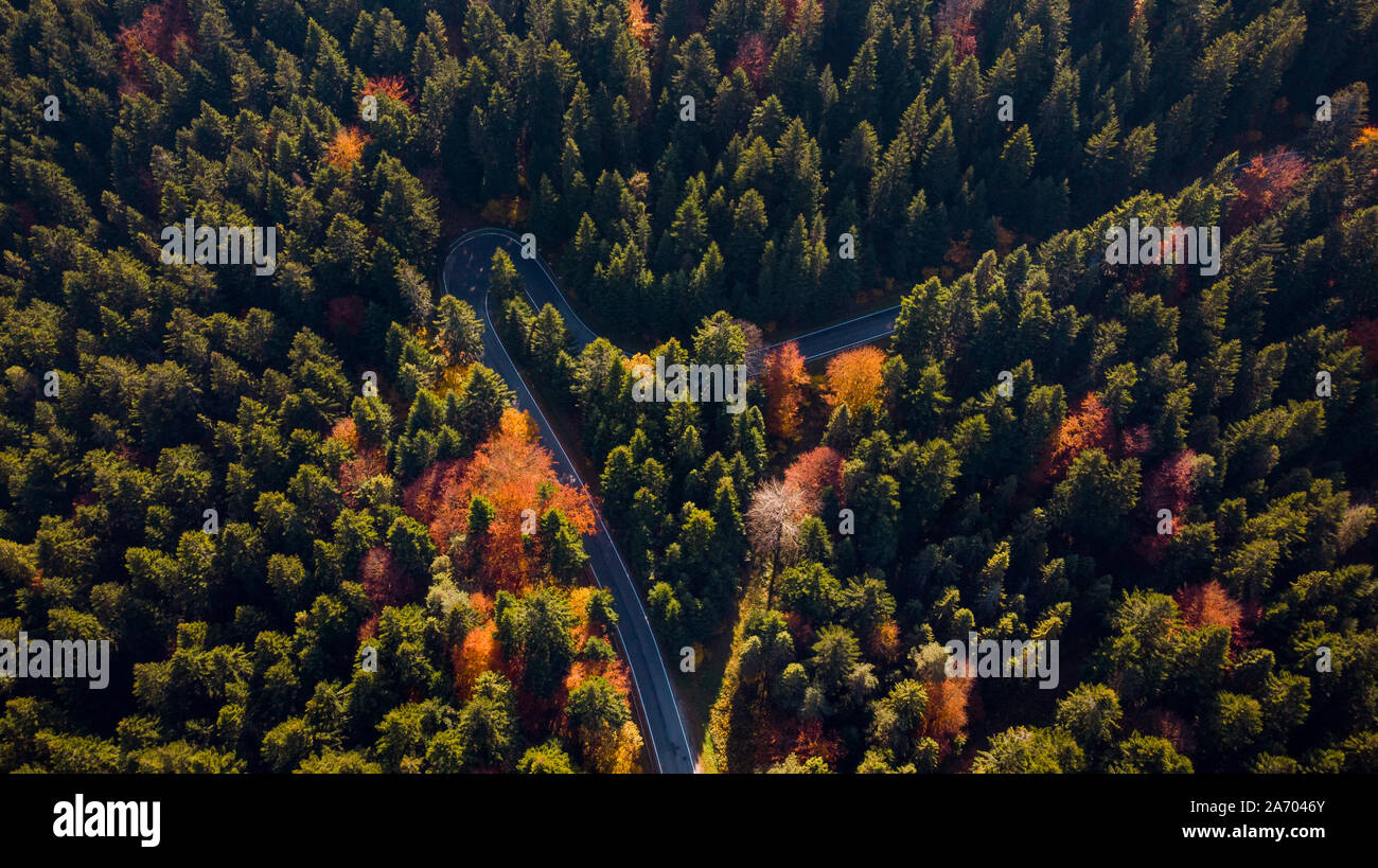 Abstract Road Trough Woodland at Fall Season. Top Down Drone View Stock Photo - Alamy