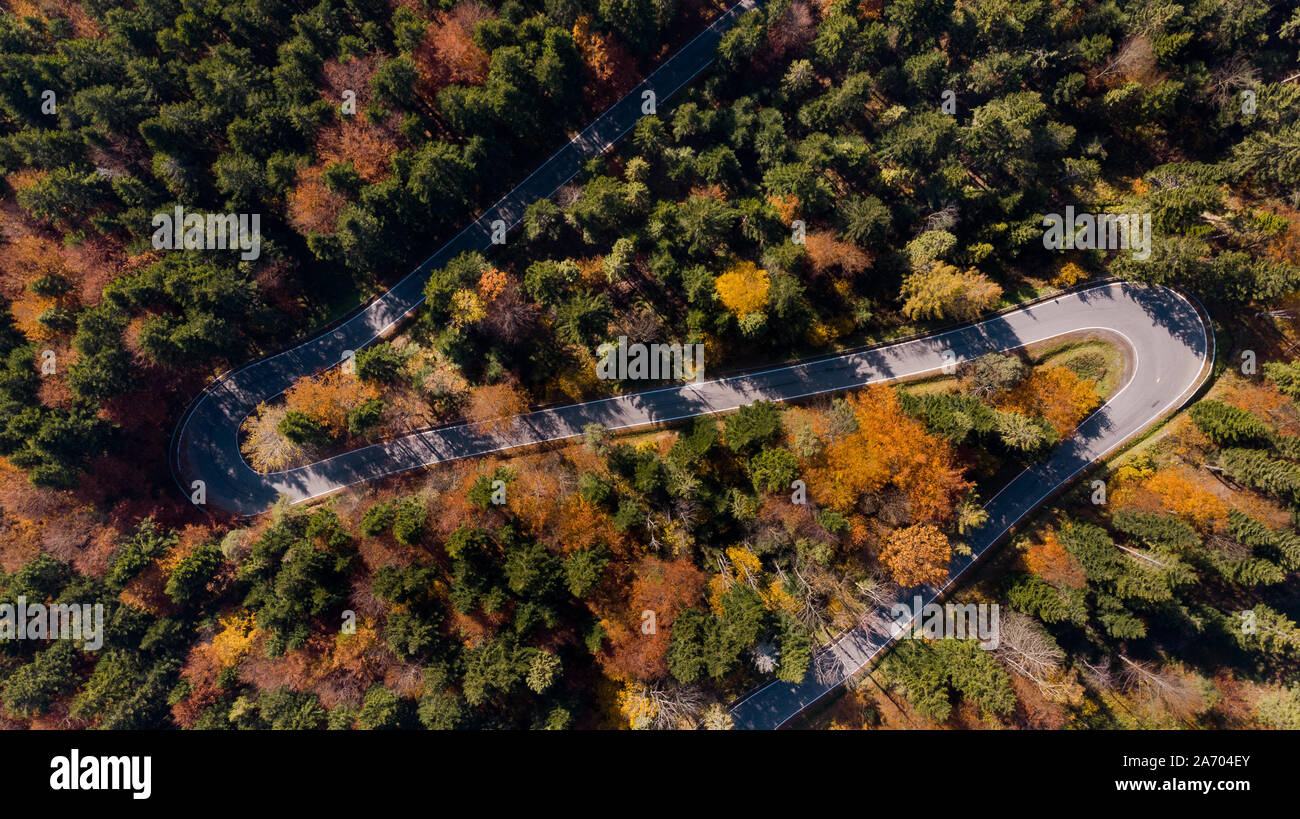 Curvy Winding Road Trough Woodland at Fall Foliage Season. top Down Drone View Stock Photo - Alamy
