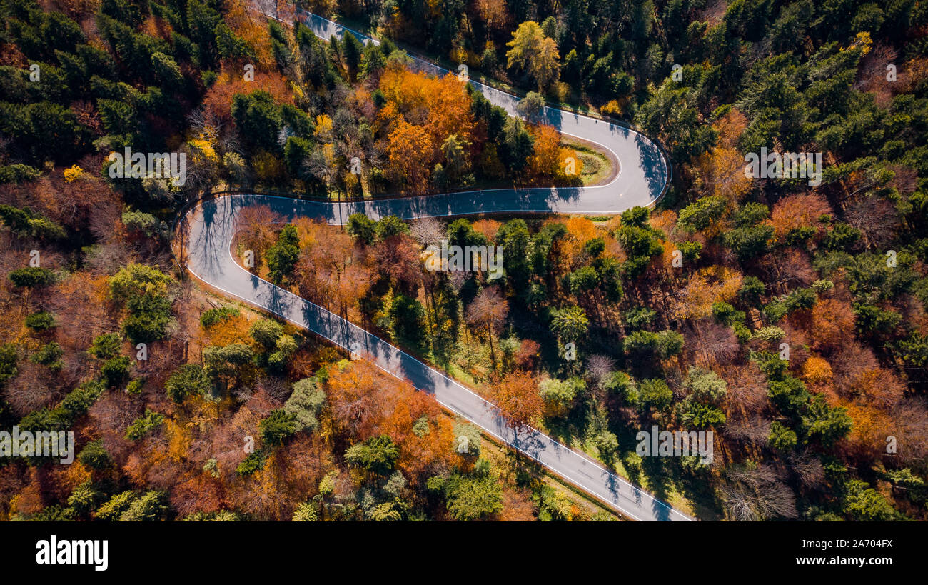 Curvy Winding Road Trough Woodland at Fall Foliage Season. top Down Drone View Stock Photo - Alamy