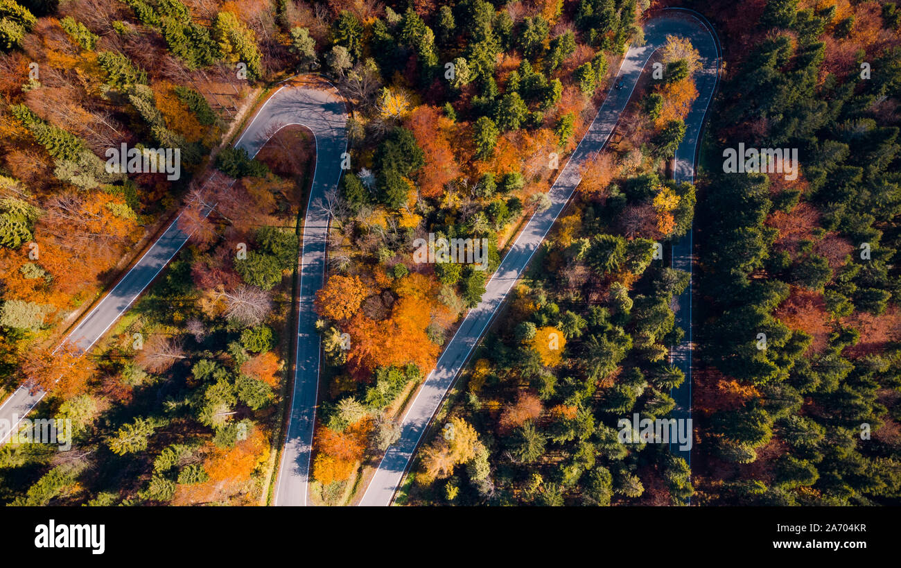 Beautiful Winding Road in Woodland at Fall Season. Top Down Drone ...