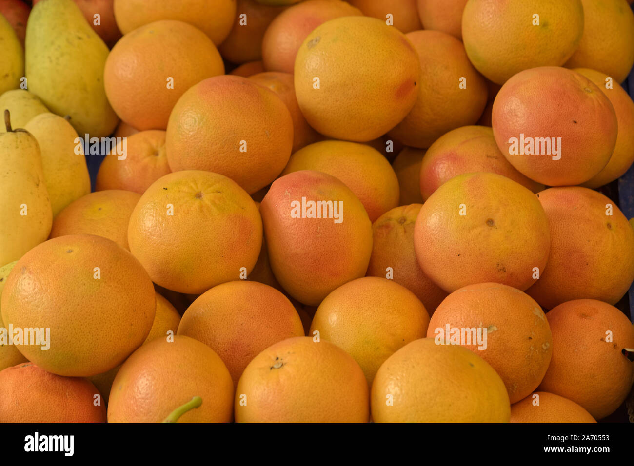 Group of grapefruits displayed on grocery counter. Front View Stock ...