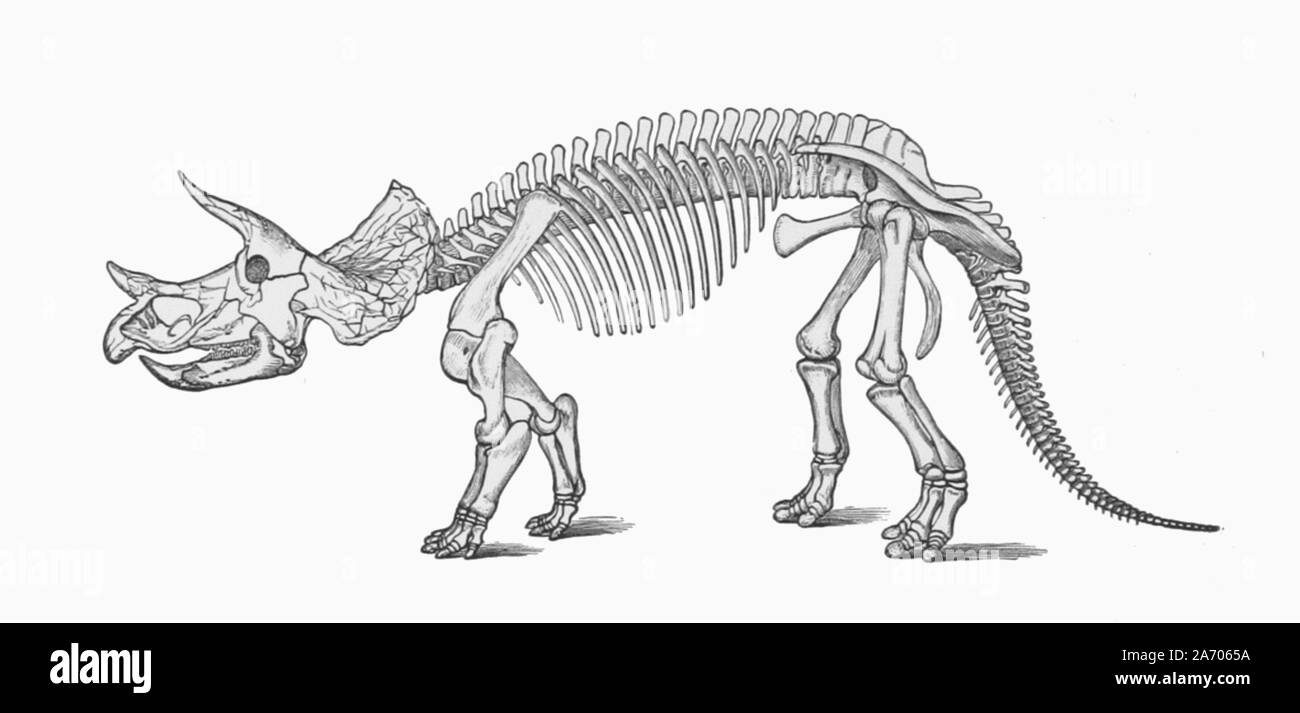 vintage illustration of an extinct animal Stock Photo - Alamy