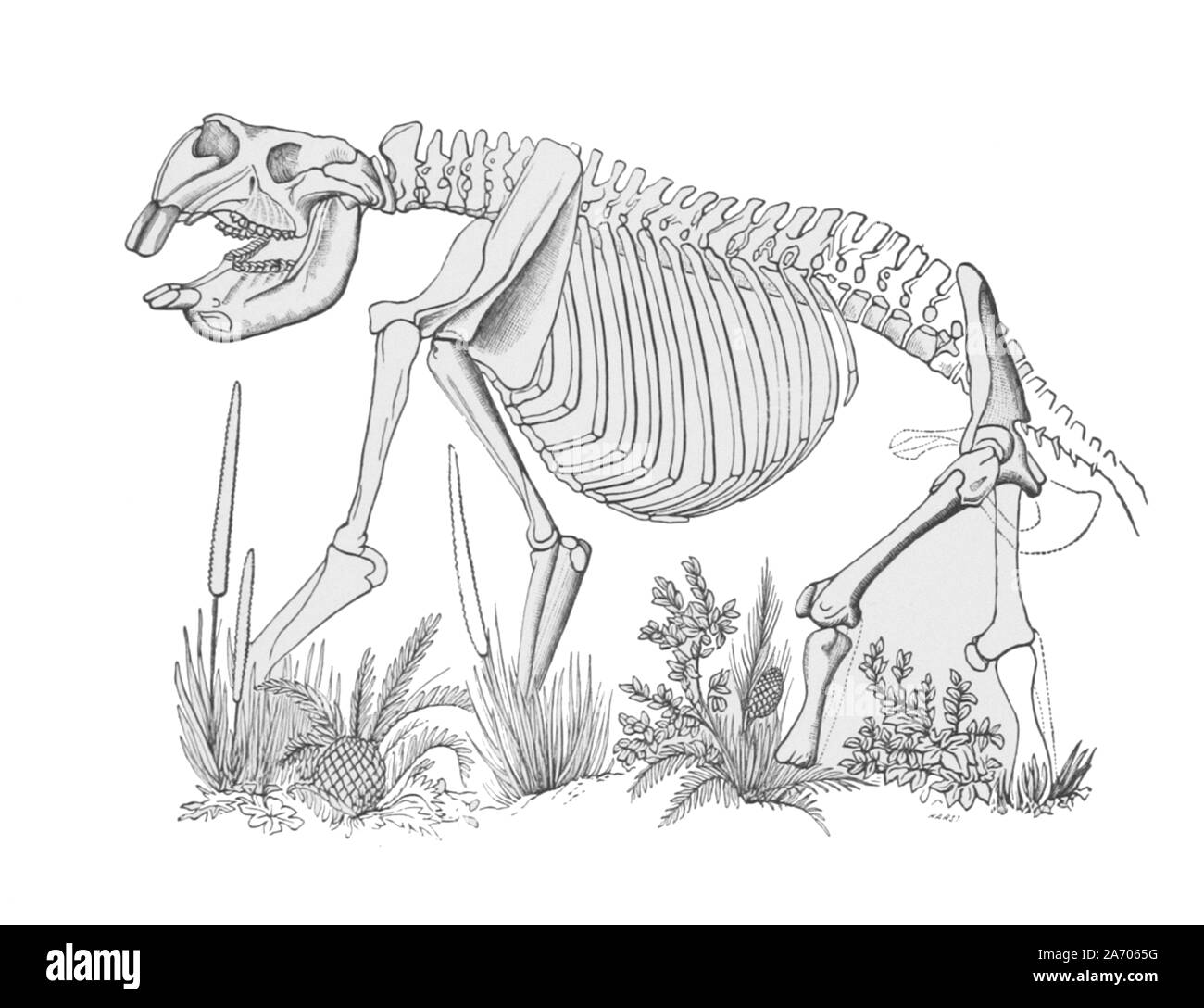 Kitsch museum Cut Out Stock Images & Pictures - Alamy