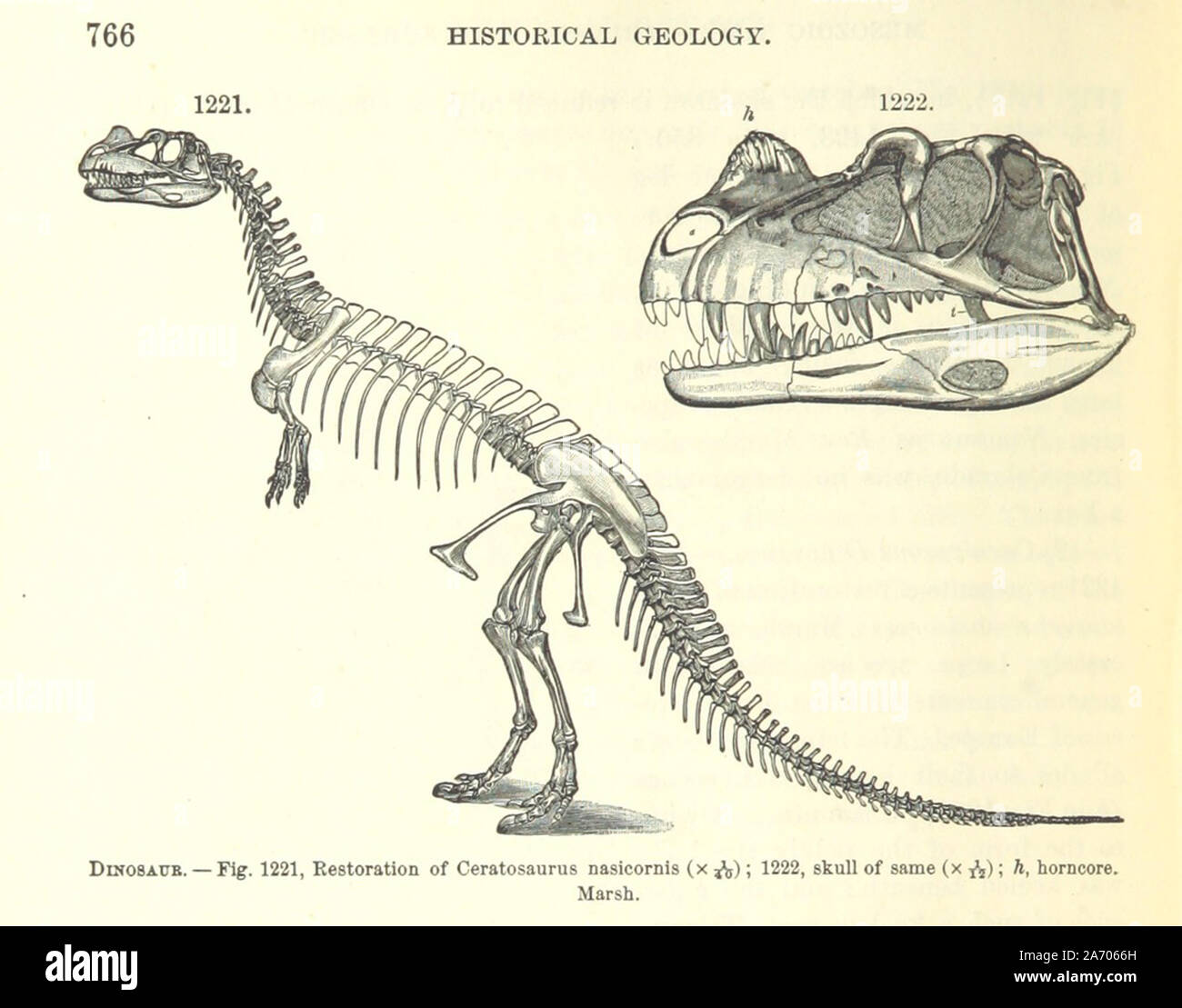 vintage illustration of an extinct animal Stock Photo - Alamy