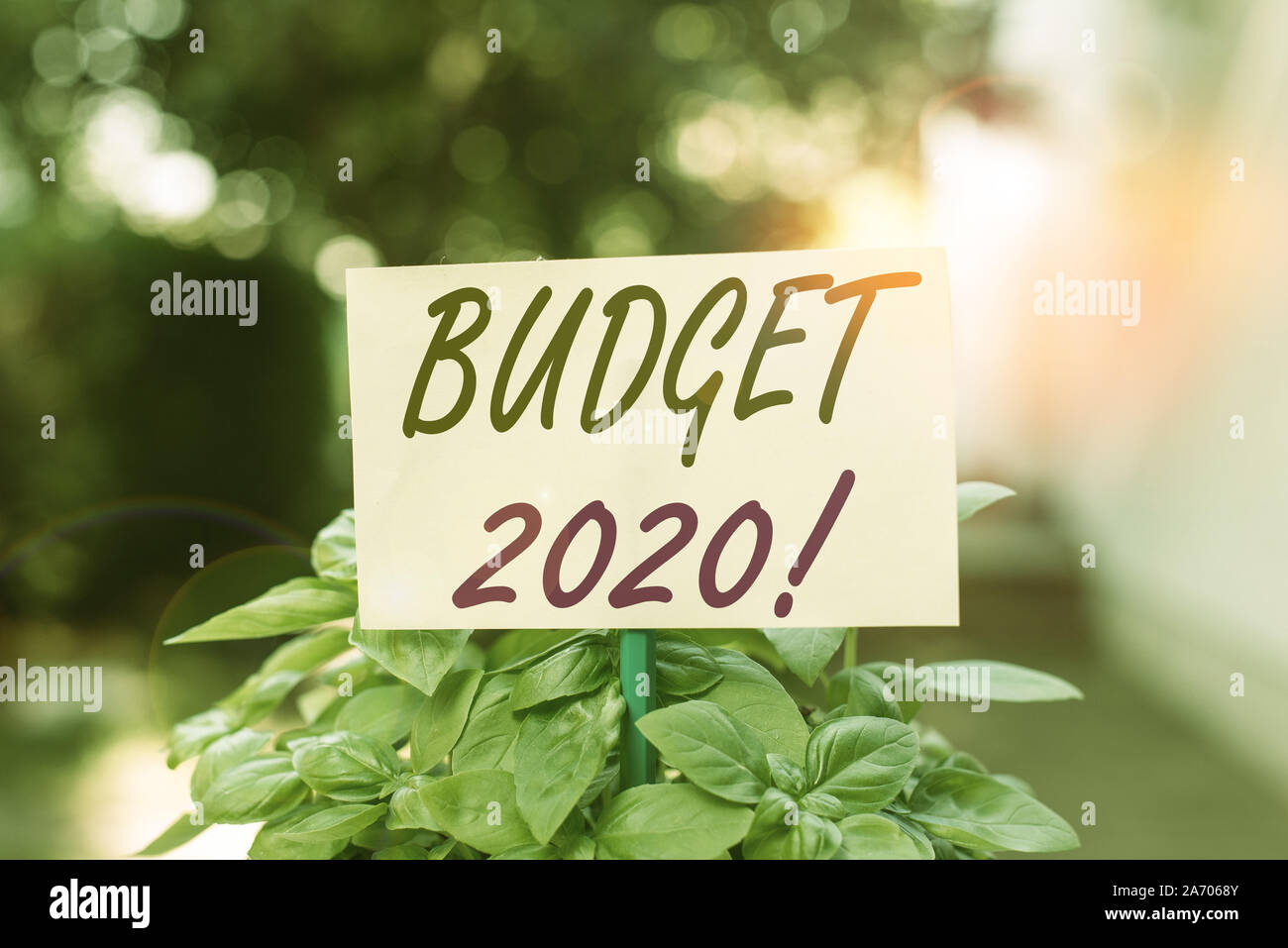 Handwriting text writing Budget 2020. Conceptual photo estimate of ...