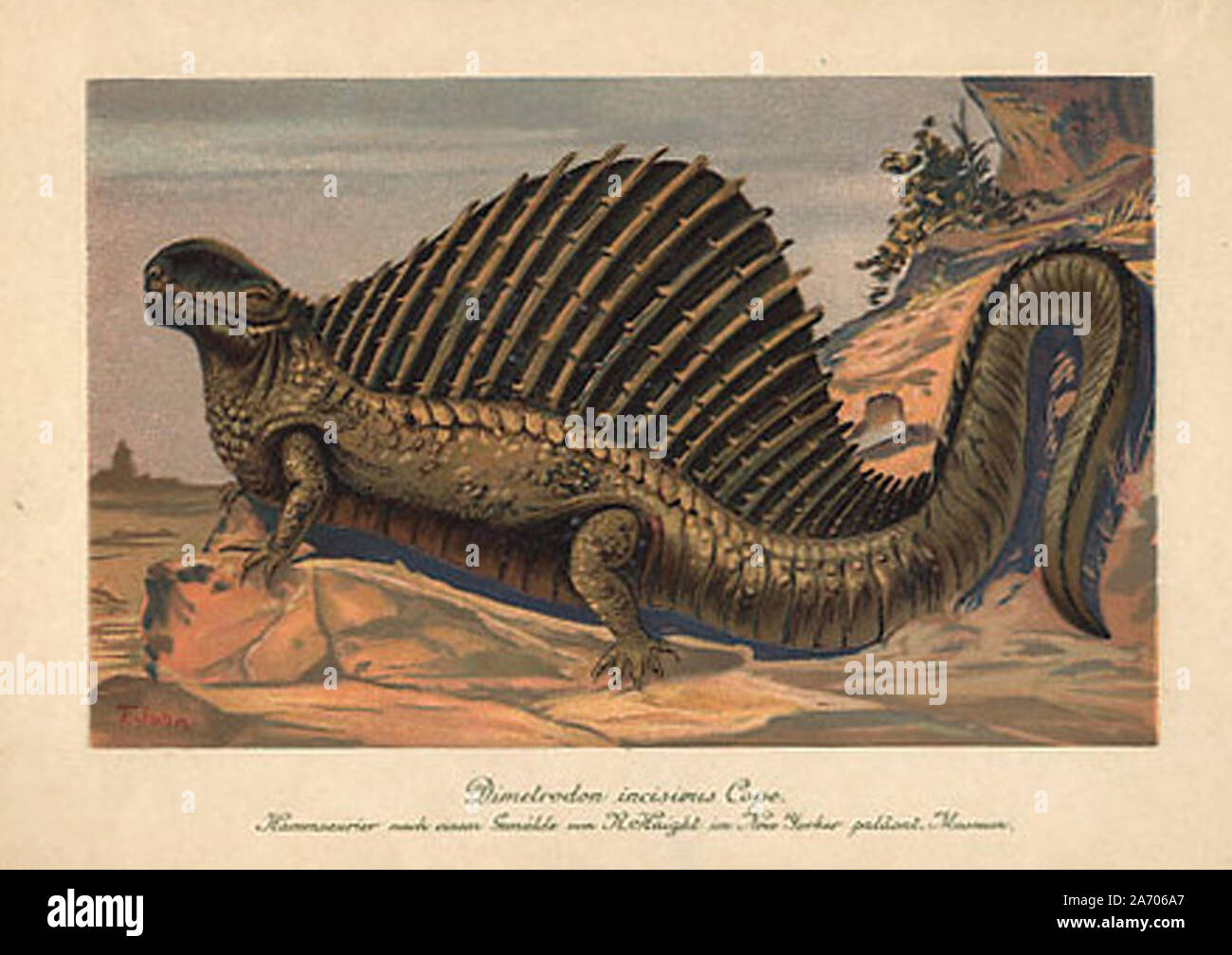 vintage illustration of an extinct animal Stock Photo - Alamy