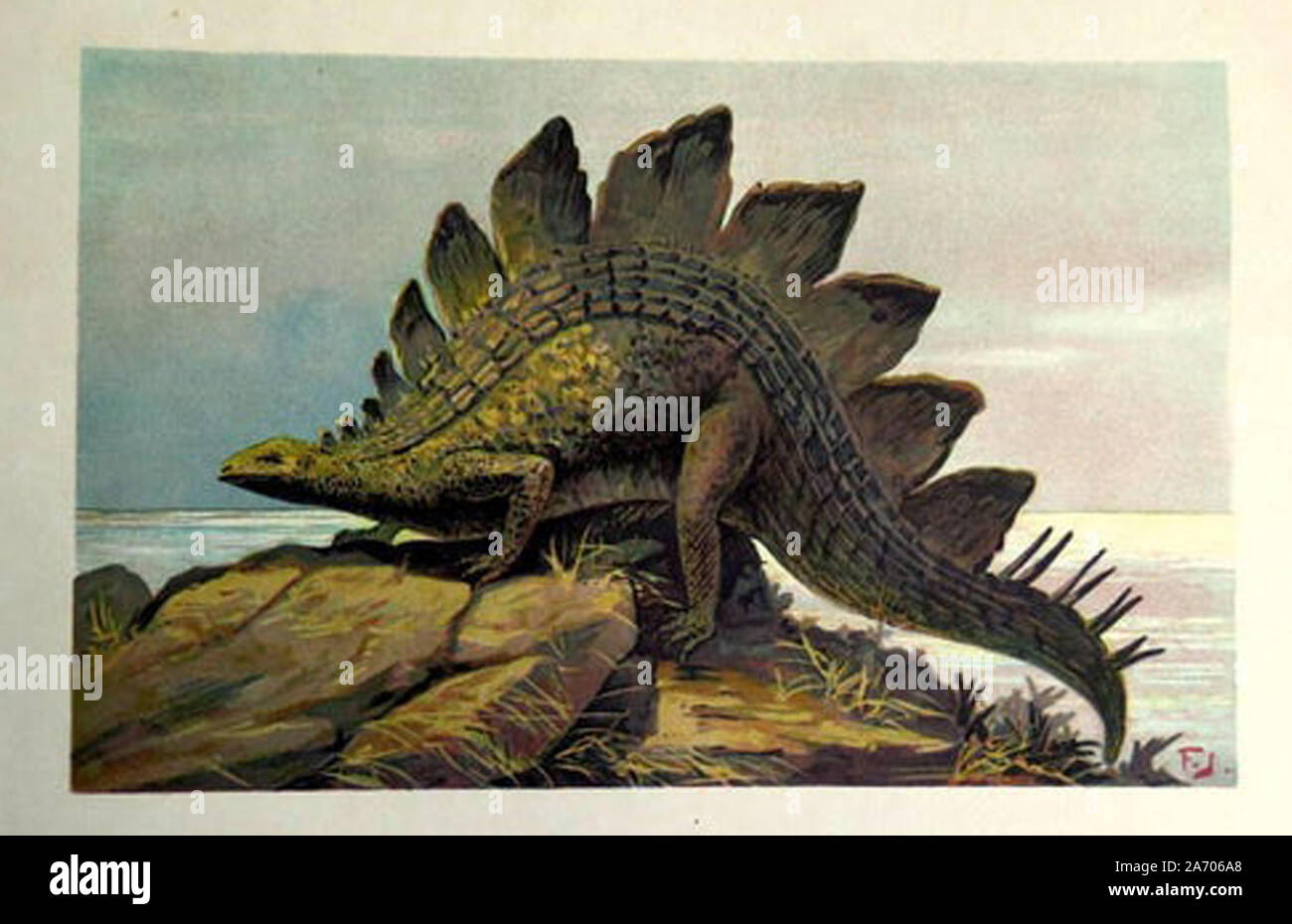 vintage illustration of an extinct animal Stock Photo - Alamy