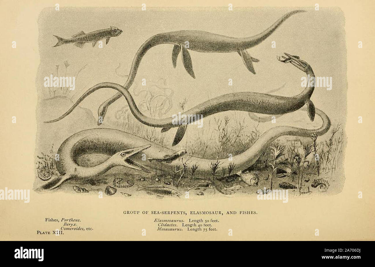 vintage illustration of an extinct animal Stock Photo - Alamy