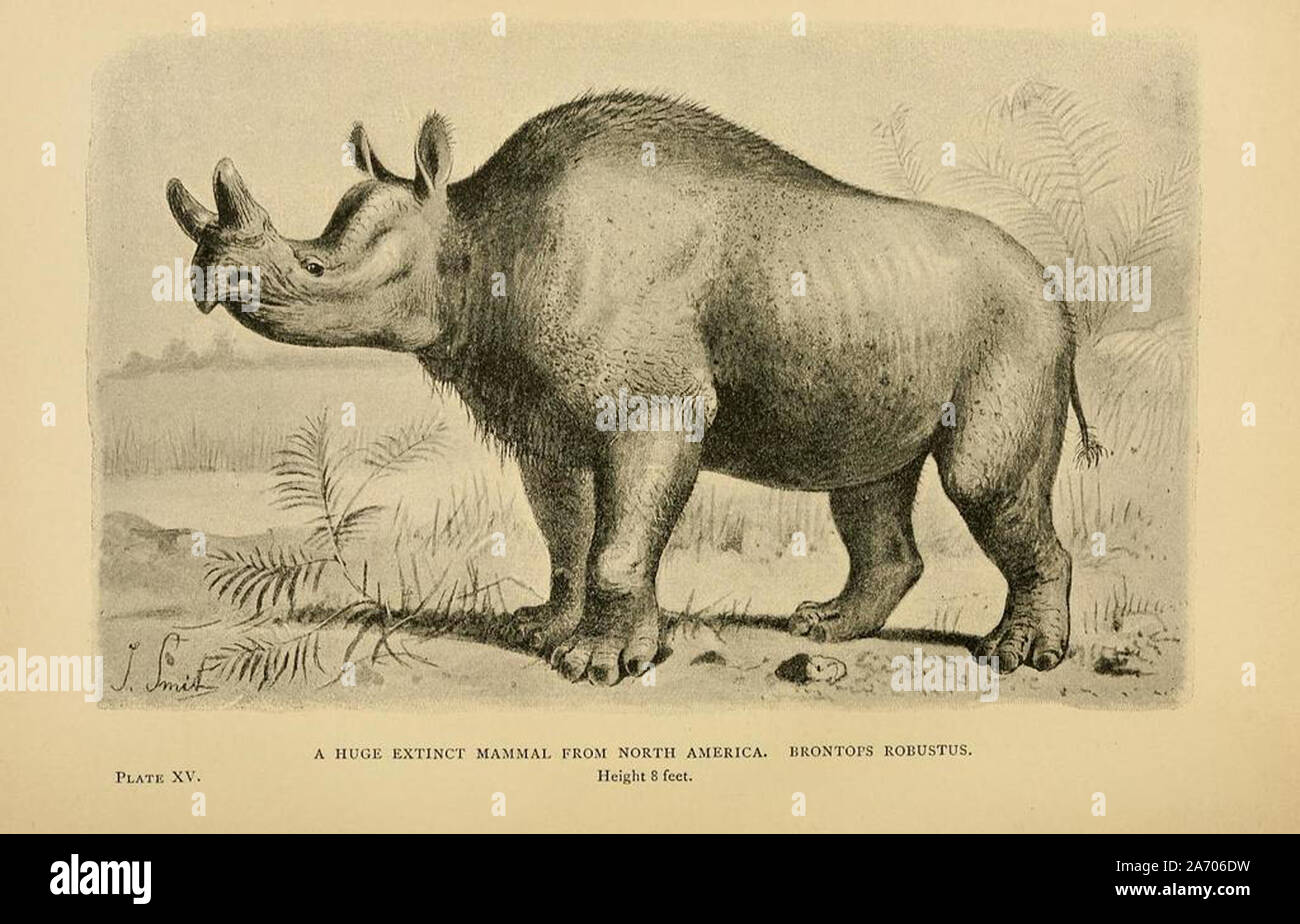 vintage illustration of an extinct animal Stock Photo - Alamy