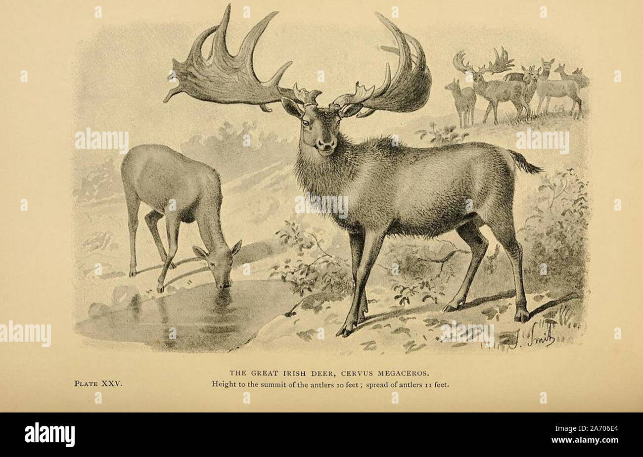 vintage illustration of an extinct animal Stock Photo - Alamy