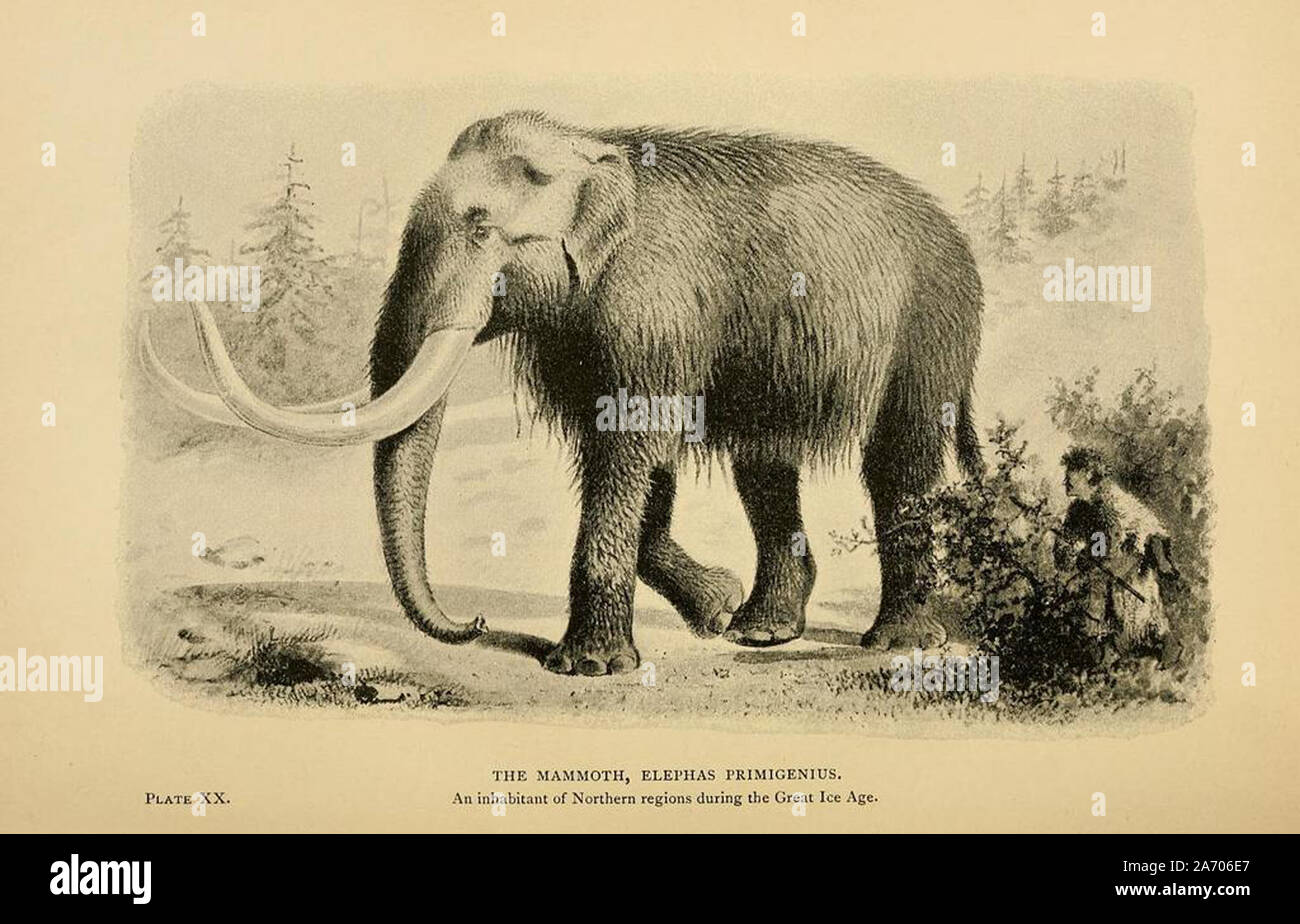vintage illustration of an extinct animal Stock Photo - Alamy