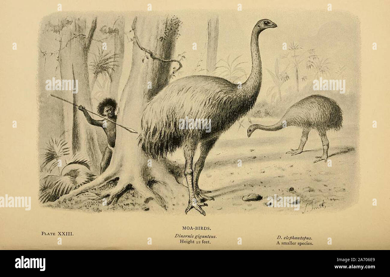 vintage illustration of an extinct animal Stock Photo - Alamy