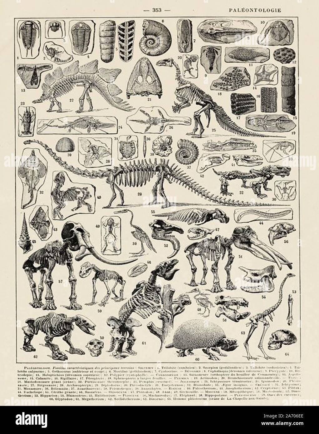 vintage illustration of an extinct animal Stock Photo - Alamy