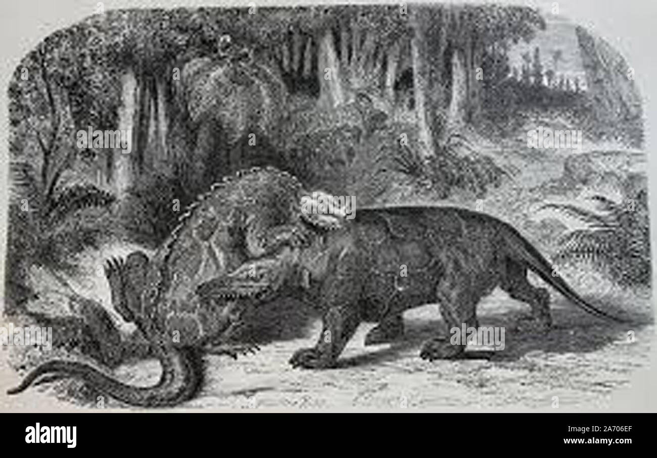 vintage illustration of an extinct animal Stock Photo - Alamy