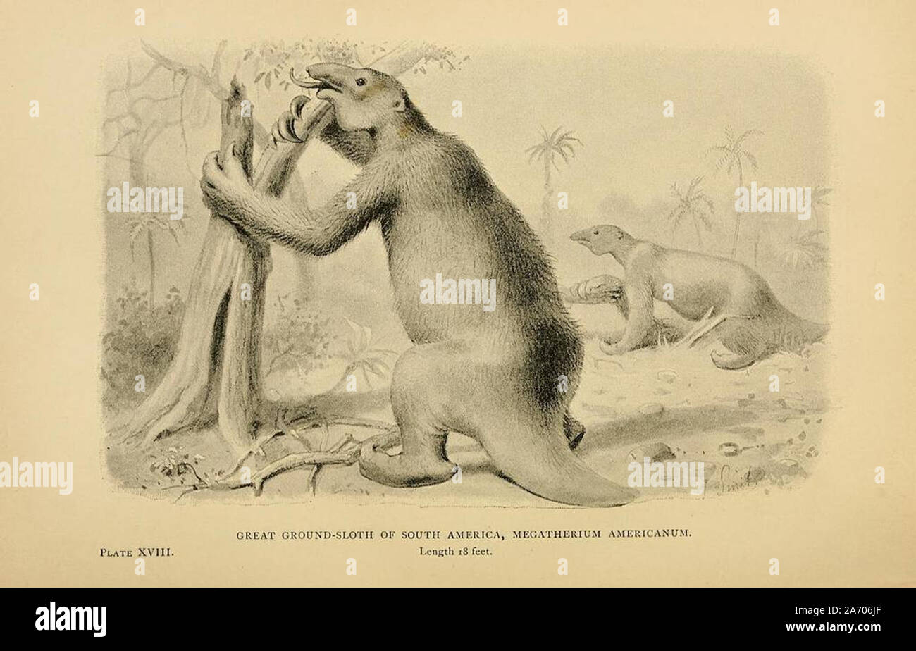 vintage illustration of an extinct animal Stock Photo - Alamy
