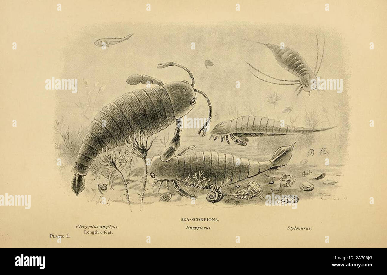 vintage illustration of an extinct animal Stock Photo - Alamy