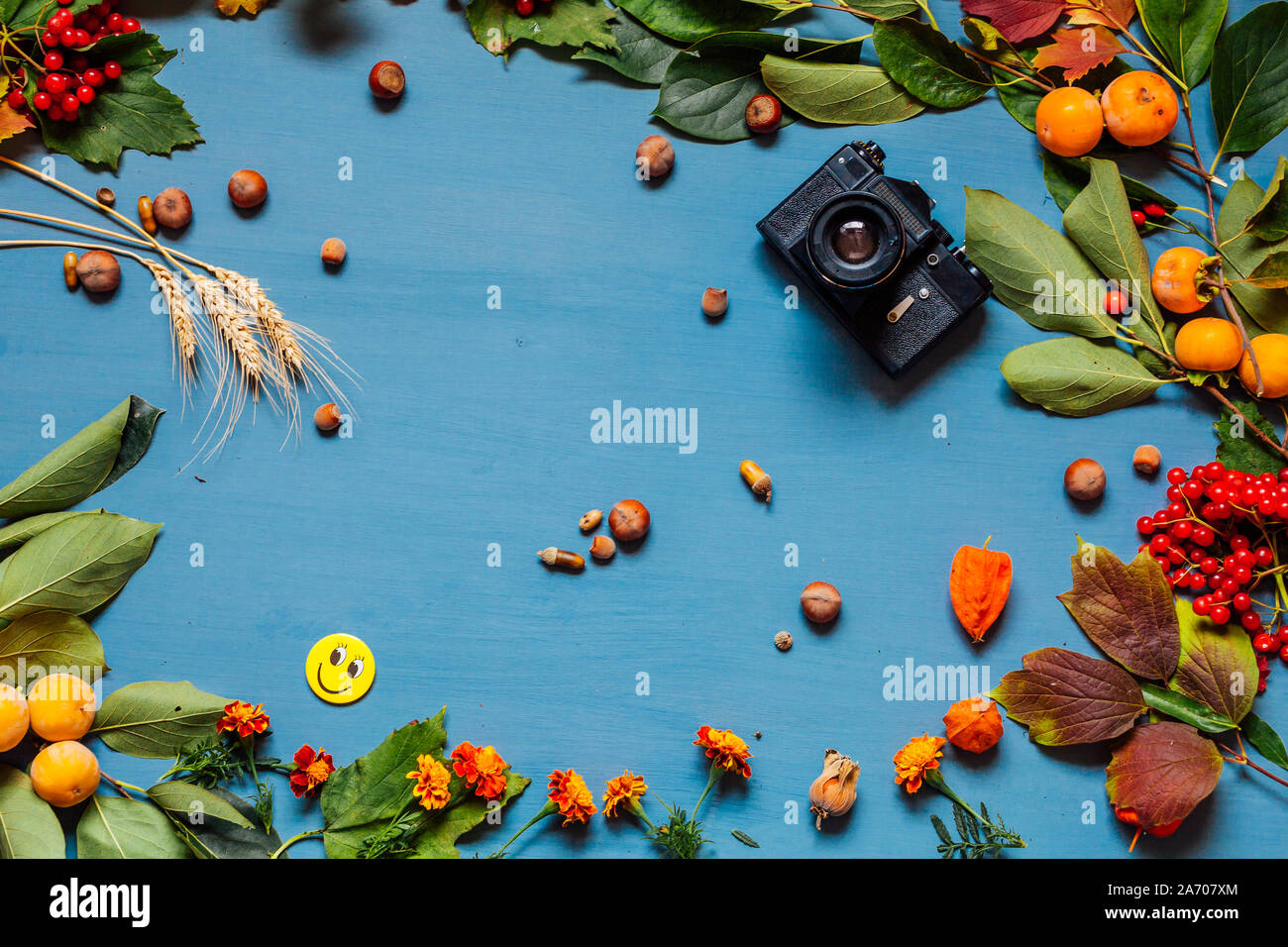 Red and yellow autumn leaves fruit camera on a grey background Stock ...