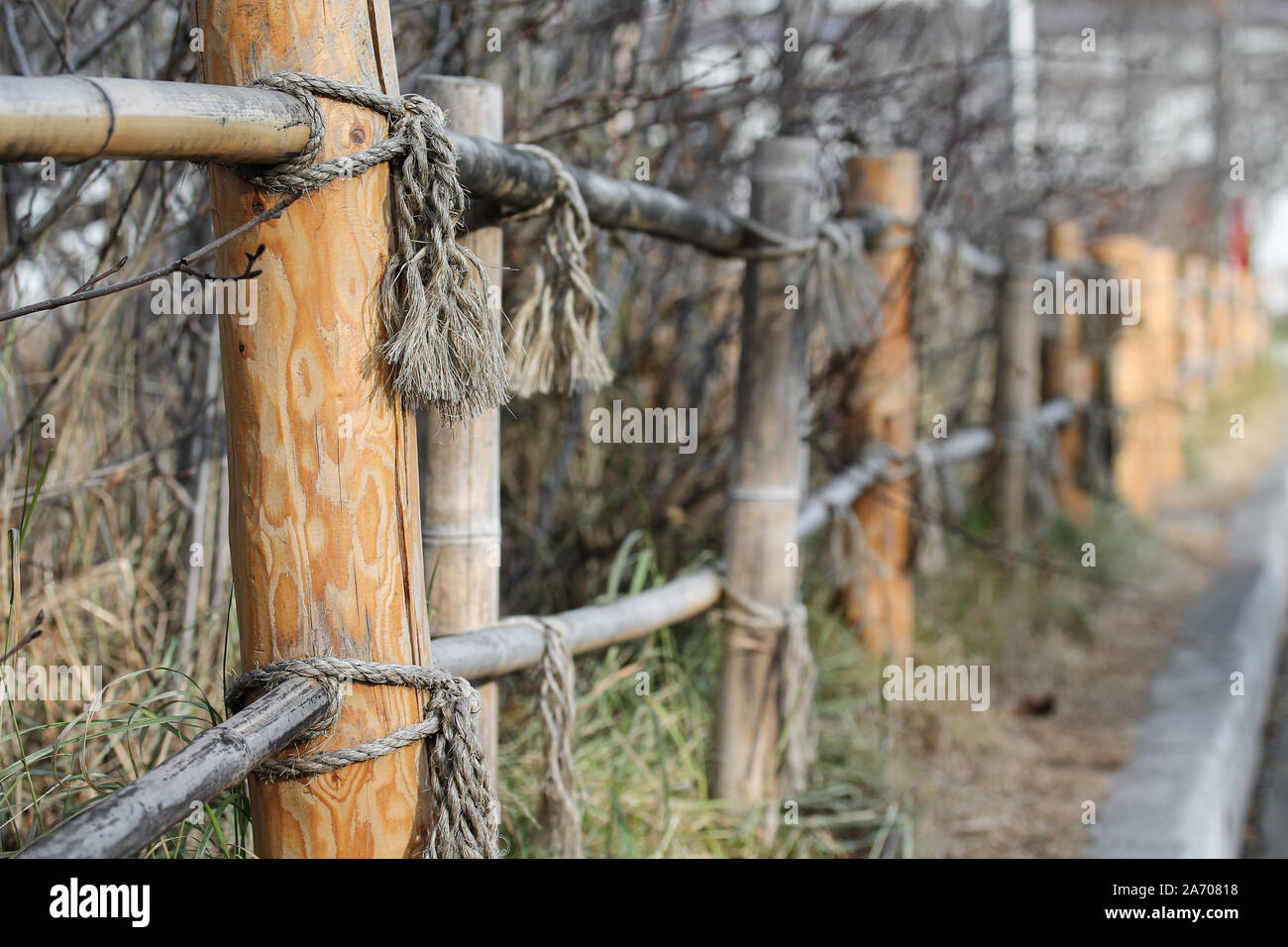Bamboo fence tied with ropes in Japanese style. Oriental background ...