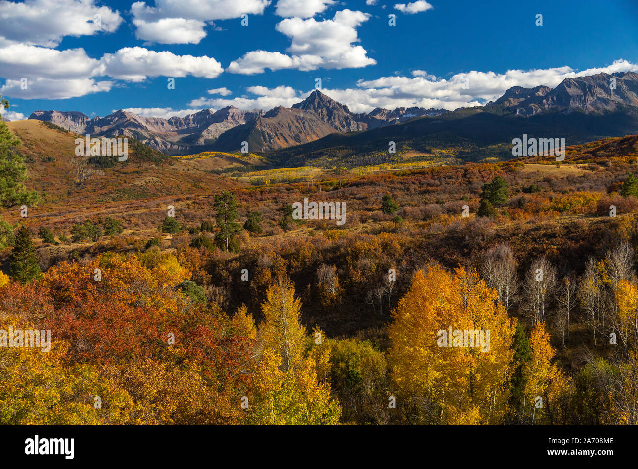 Golden aspen hi-res stock photography and images - Alamy