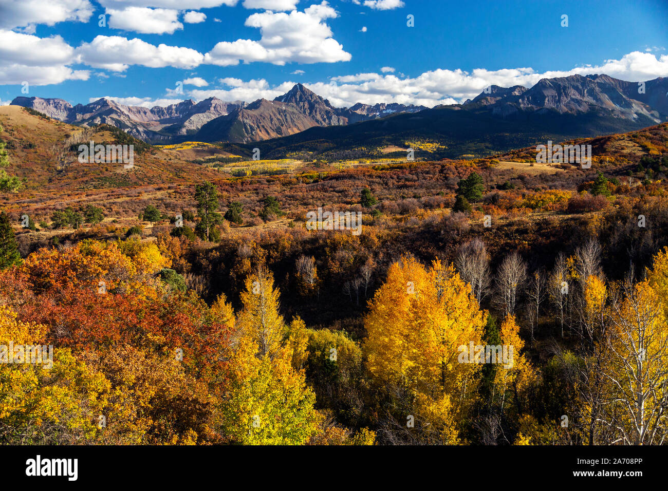 Kebler pass aspen hi-res stock photography and images - Alamy