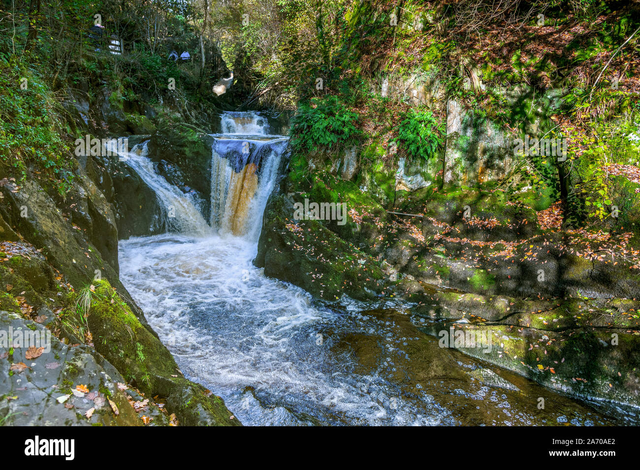 The river Twiss tumbles down the Ingleton waterfalls trail in North ...