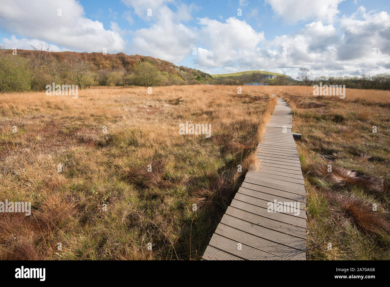 Tarn Moss Malham Stock Photo - Alamy
