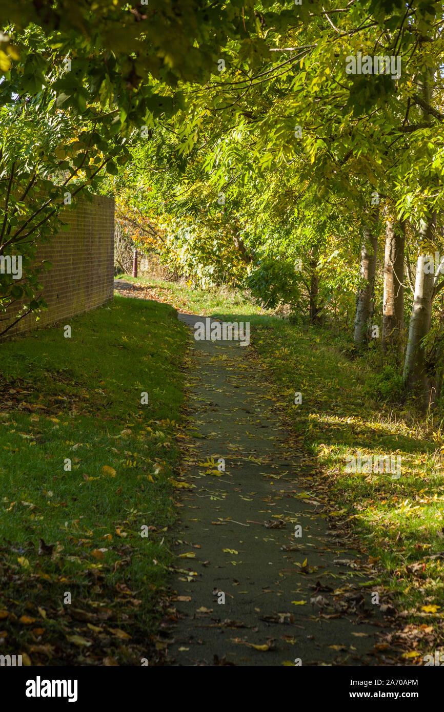 Colourful pathway hi-res stock photography and images - Alamy
