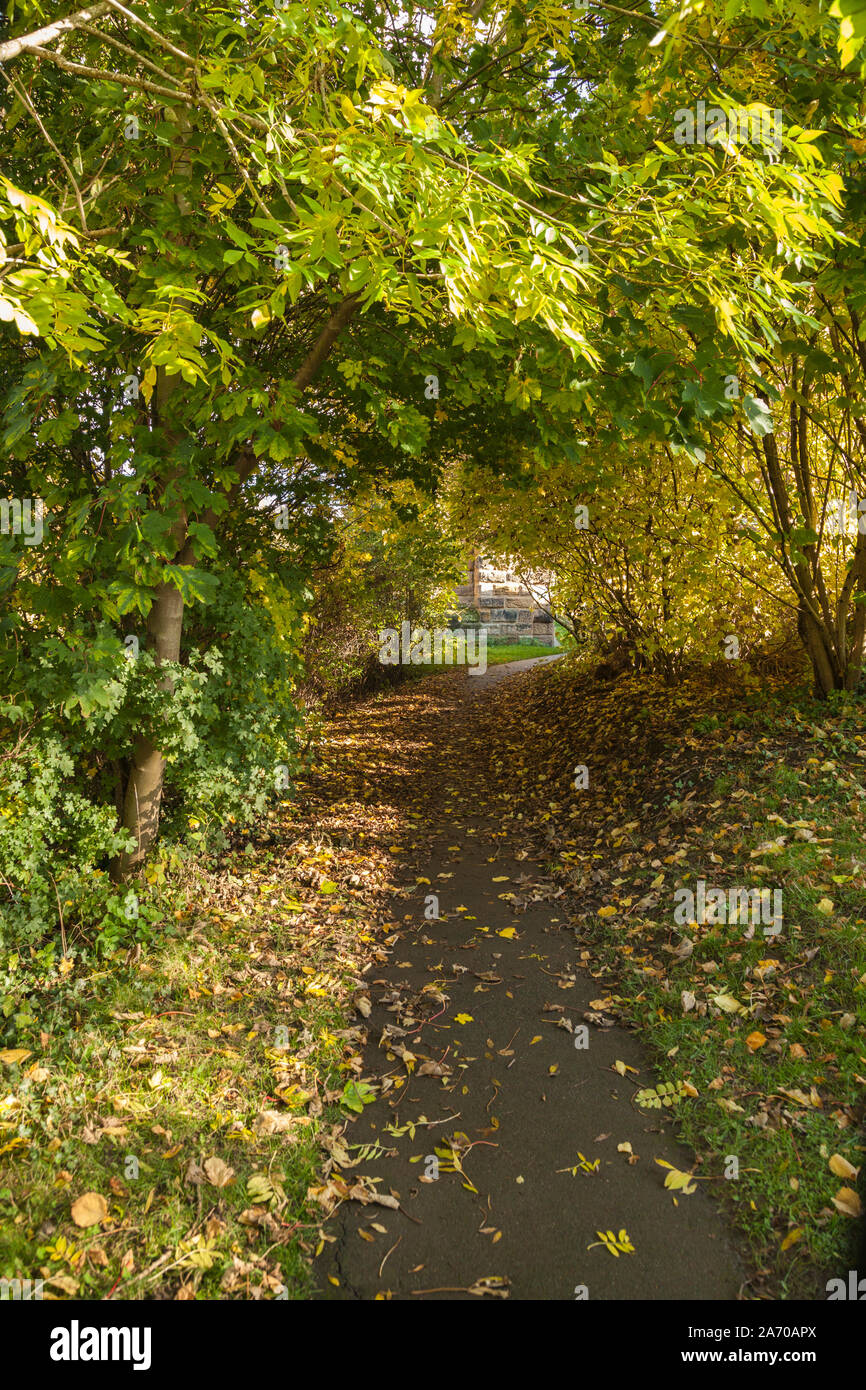 A scenic pathway along the River Tees at Yarm,England,UK Stock Photo ...