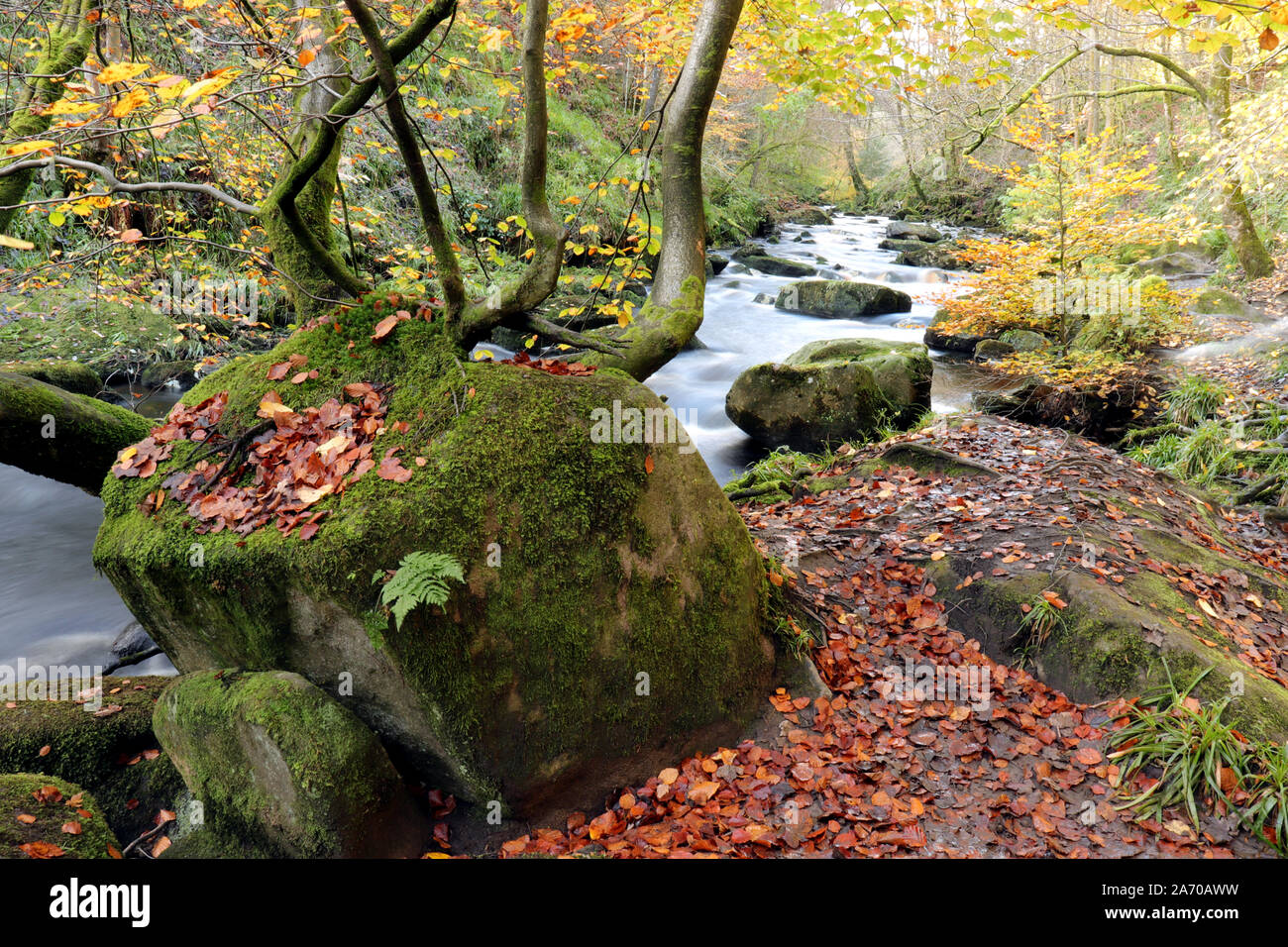 Autumnal river in Yorkshire Stock Photo - Alamy