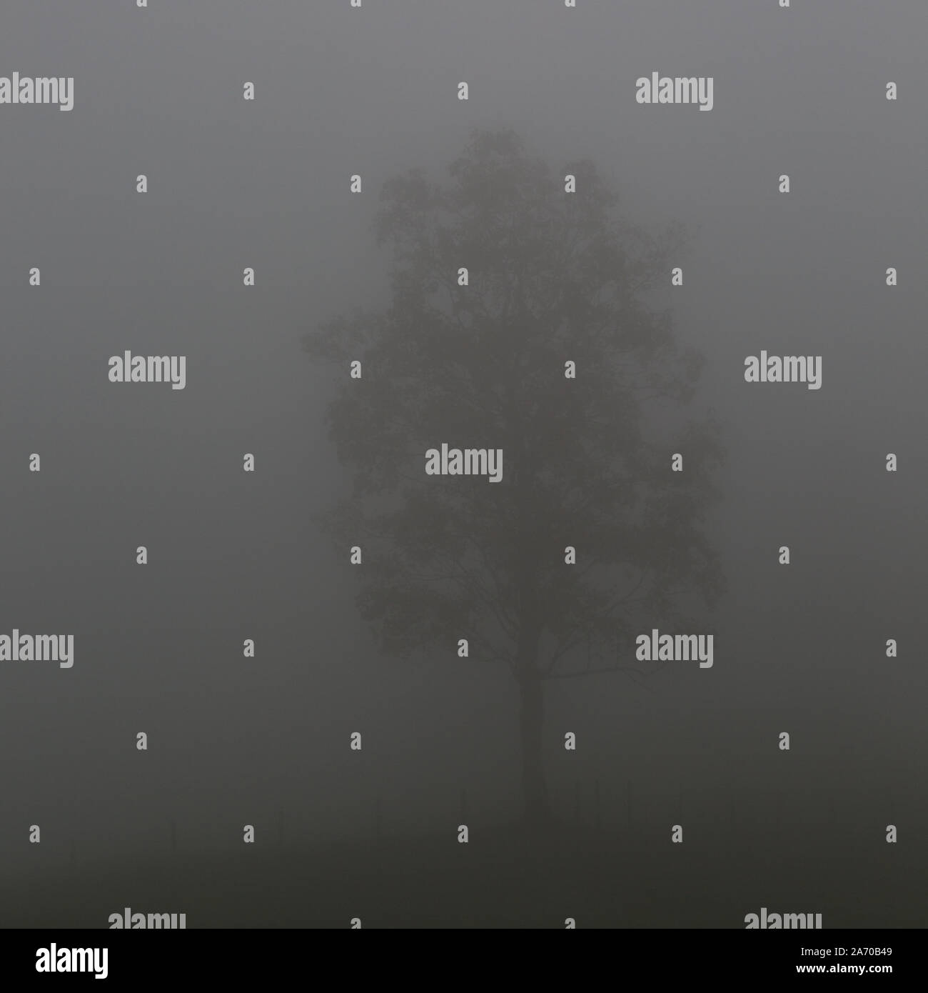 Mist silhouette hi-res stock photography and images - Alamy