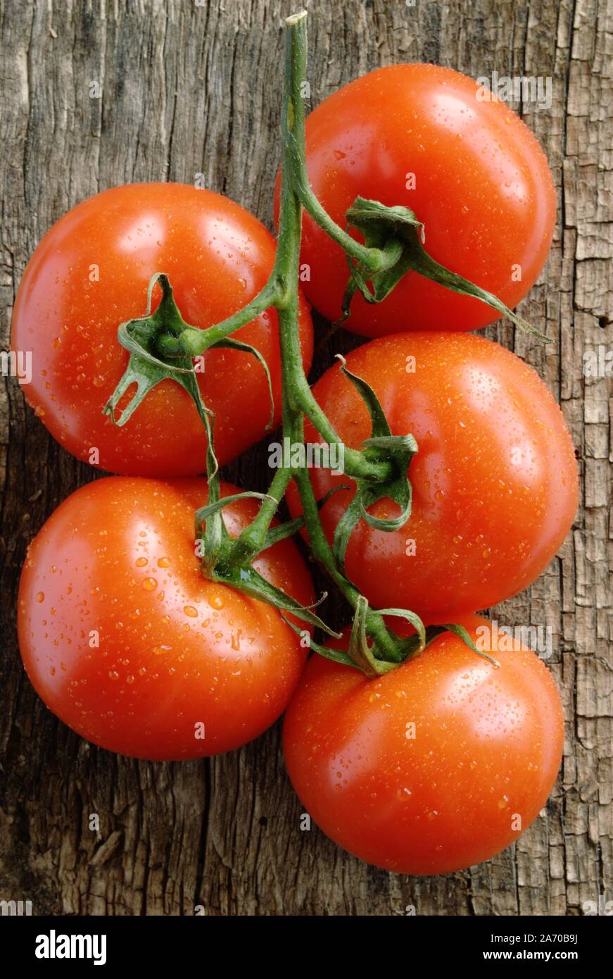 Red tomatoes on the old board Stock Photo - Alamy
