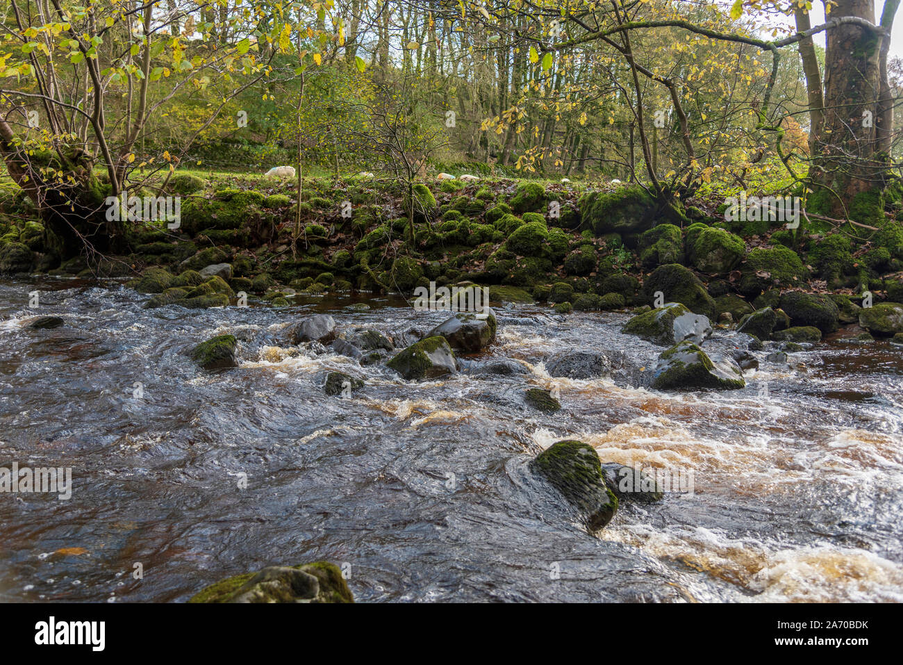 The river Twiss tumbles down the Ingleton waterfalls trail in North ...