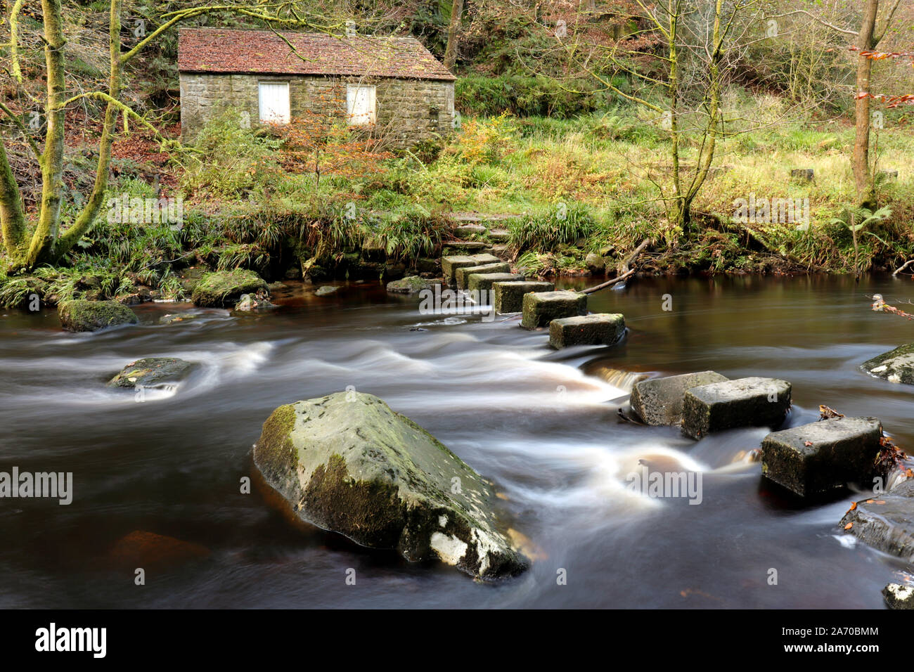 Abandoned Yorkshire mill cottage Stock Photo - Alamy
