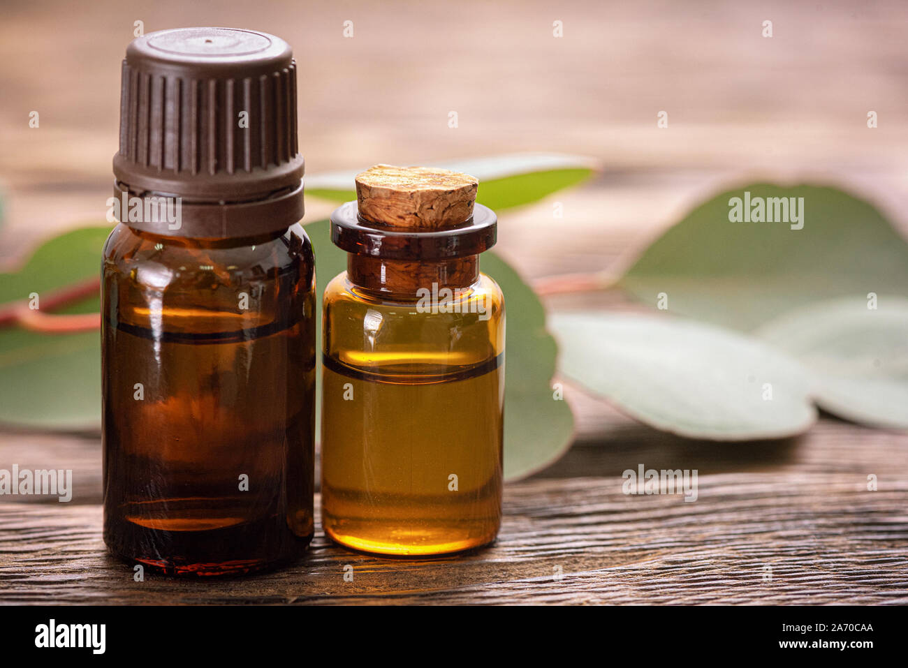 Eucalyptus essential oil and eucalyptus tree branch with green leaves ...