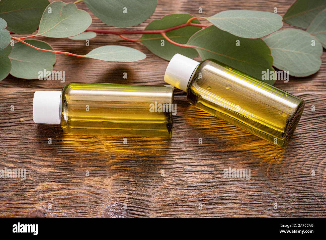 Eucalyptus essential oil and eucalyptus tree branch with green leaves ...