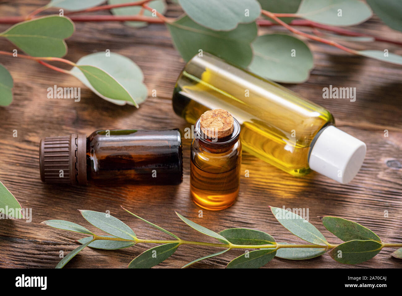 Eucalyptus essential oil and eucalyptus tree branch with green leaves ...