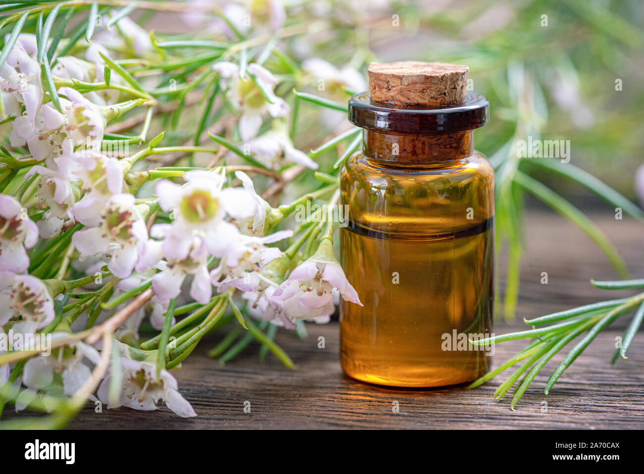 Heather essential oil in a small bottle closeup Stock Photo - Alamy