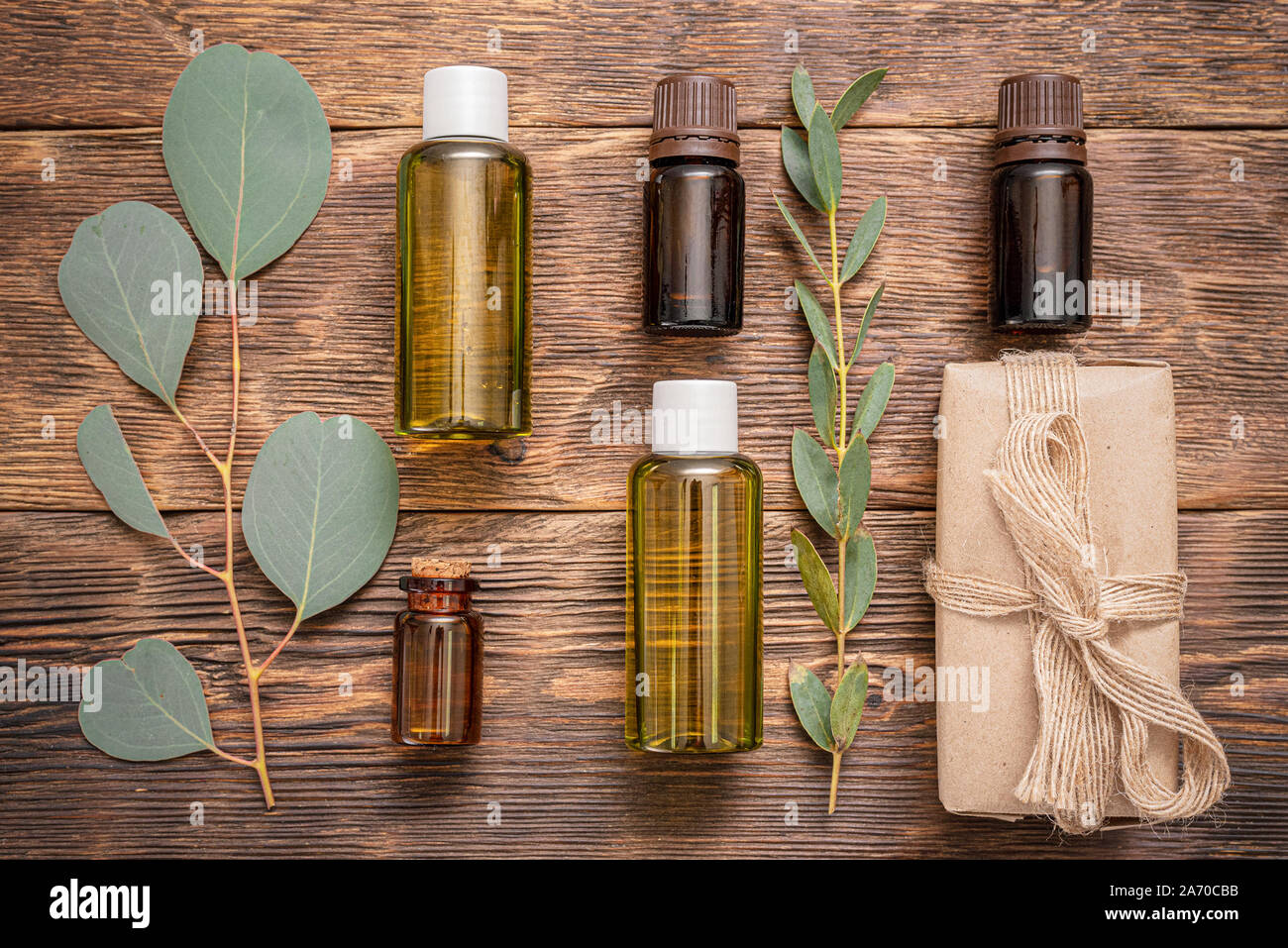 Eucalyptus essential oil and eucalyptus tree branch with green leaves ...