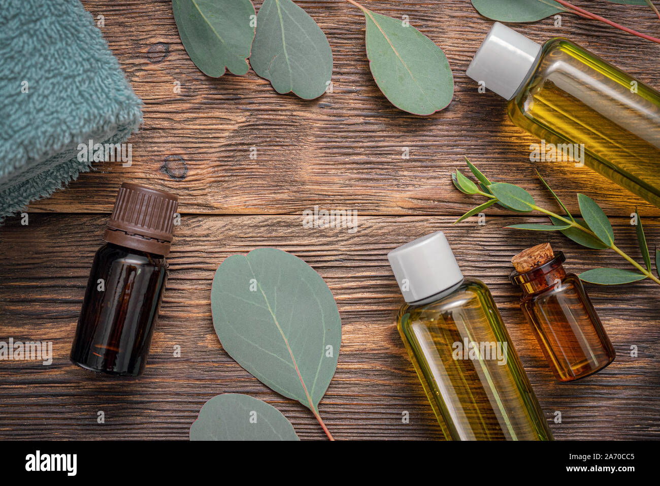 Eucalyptus essential oil and eucalyptus tree branch with green leaves ...