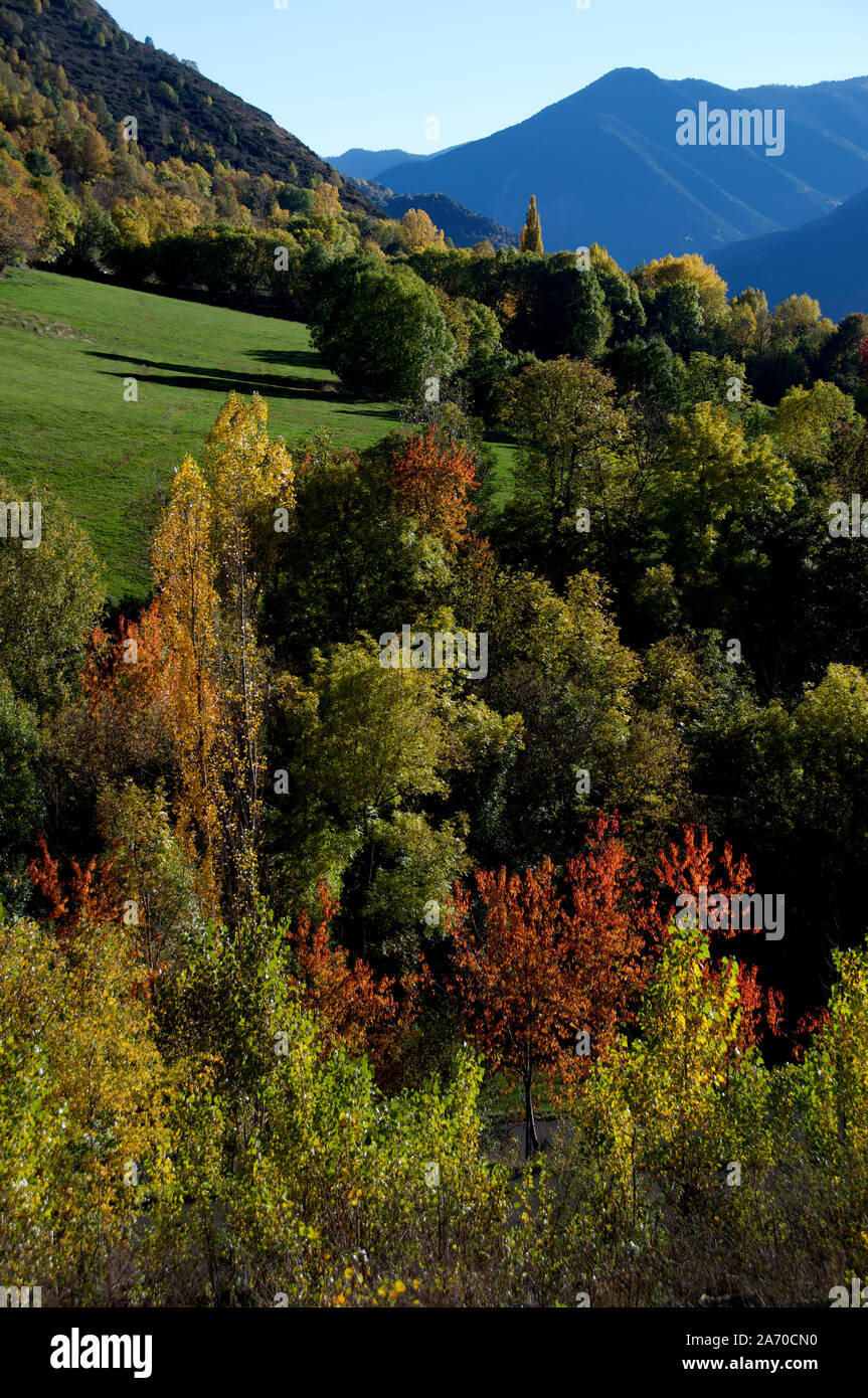 Autumn colours in Catalunya comarca of Pallars Sobira Stock Photo - Alamy