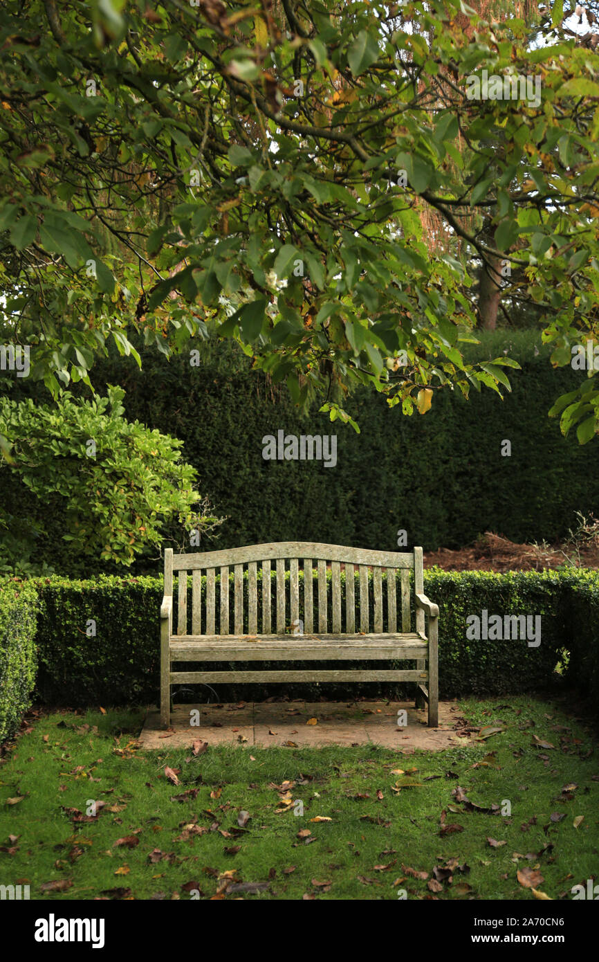 Bench in an english garden hi-res stock photography and images - Alamy
