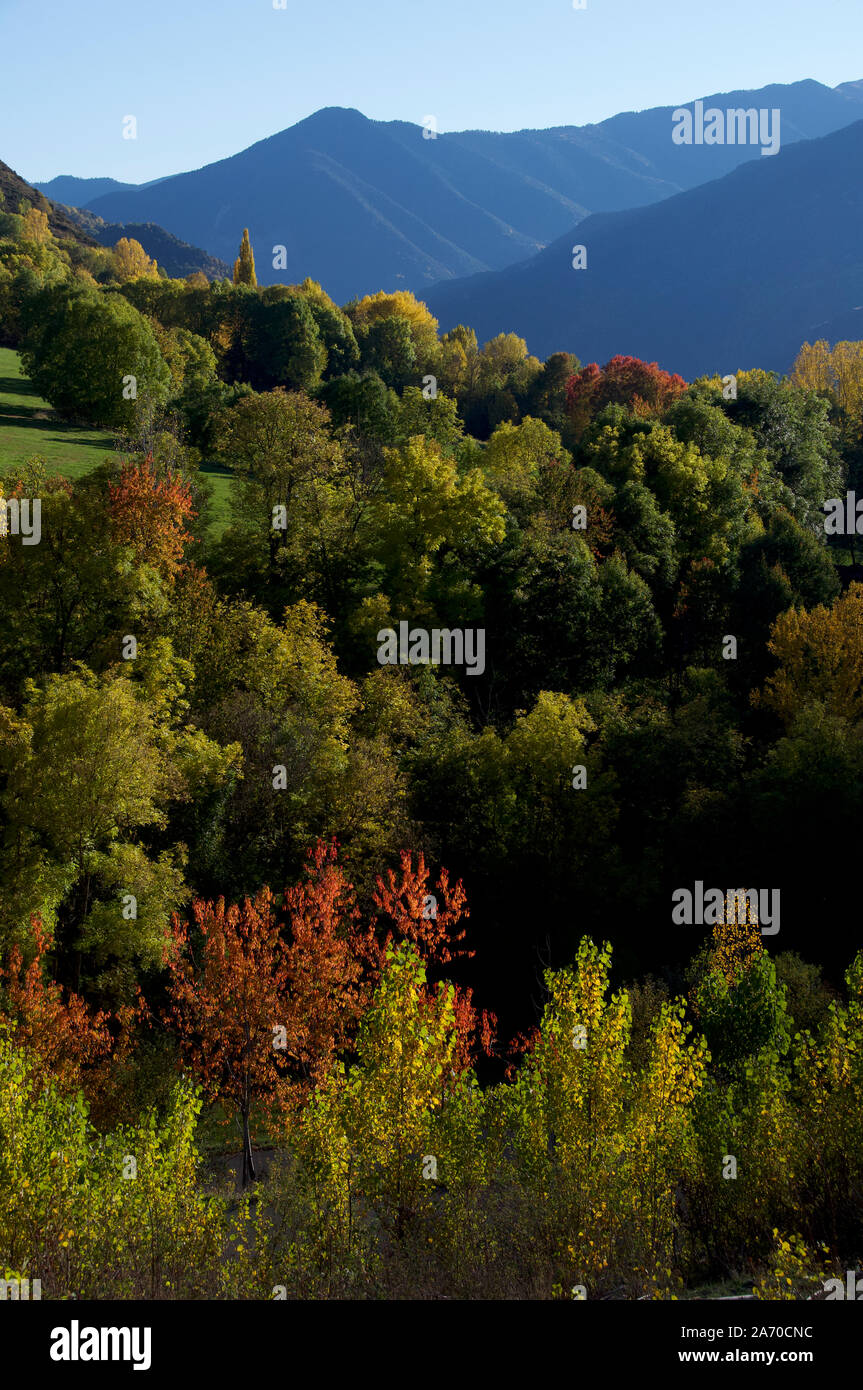 Autumn colours in Catalunya comarca of Pallars Sobira Stock Photo - Alamy
