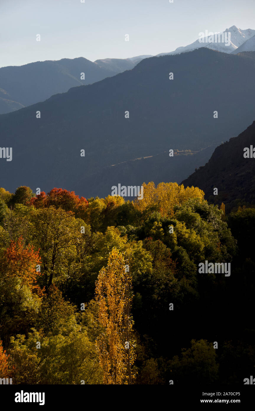 Autumn colours in Catalunya comarca of Pallars Sobira Stock Photo - Alamy
