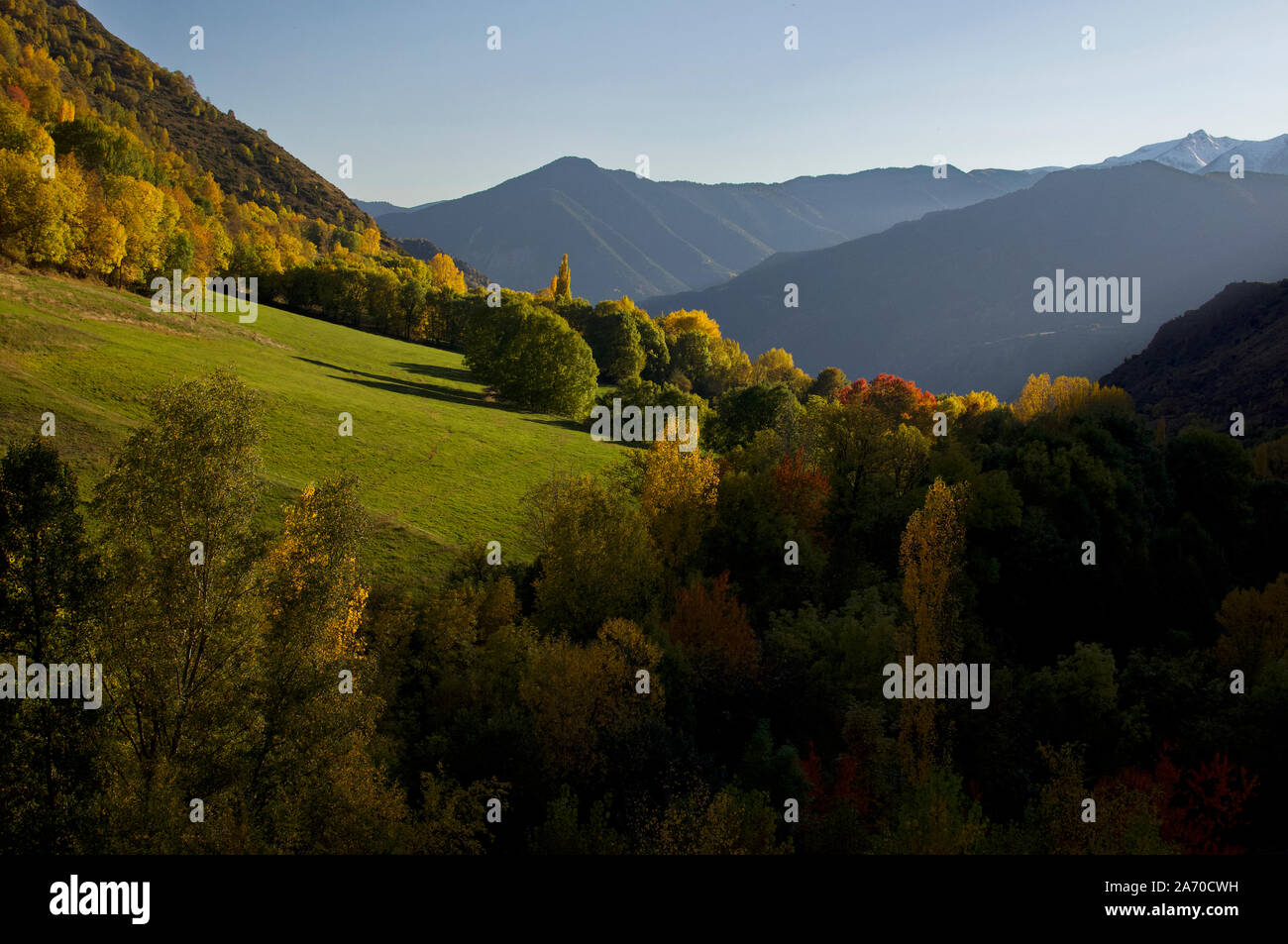 Autumn colours in Catalunya comarca of Pallars Sobira Stock Photo - Alamy