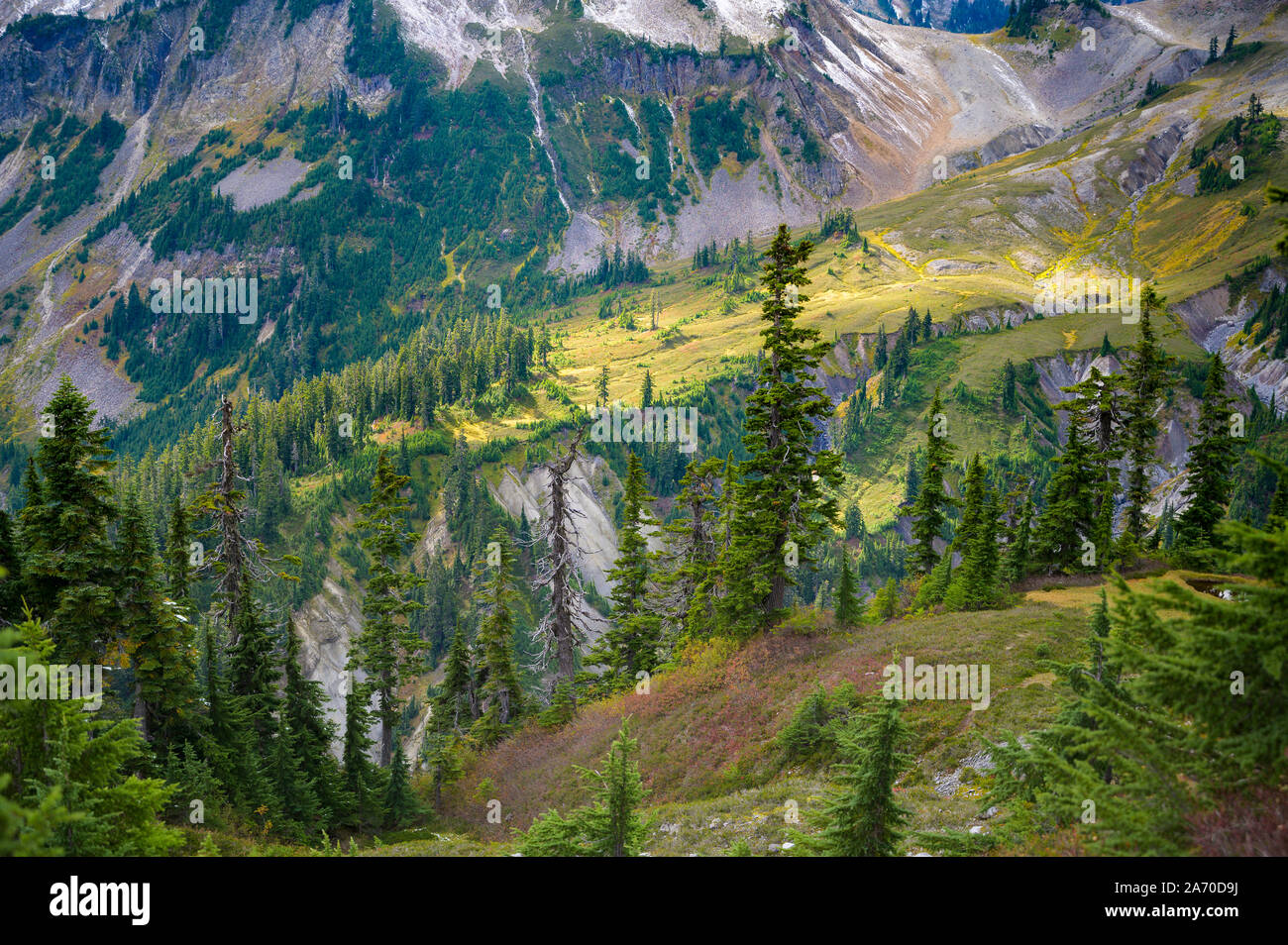 Alpine wilderness scene hi-res stock photography and images - Alamy