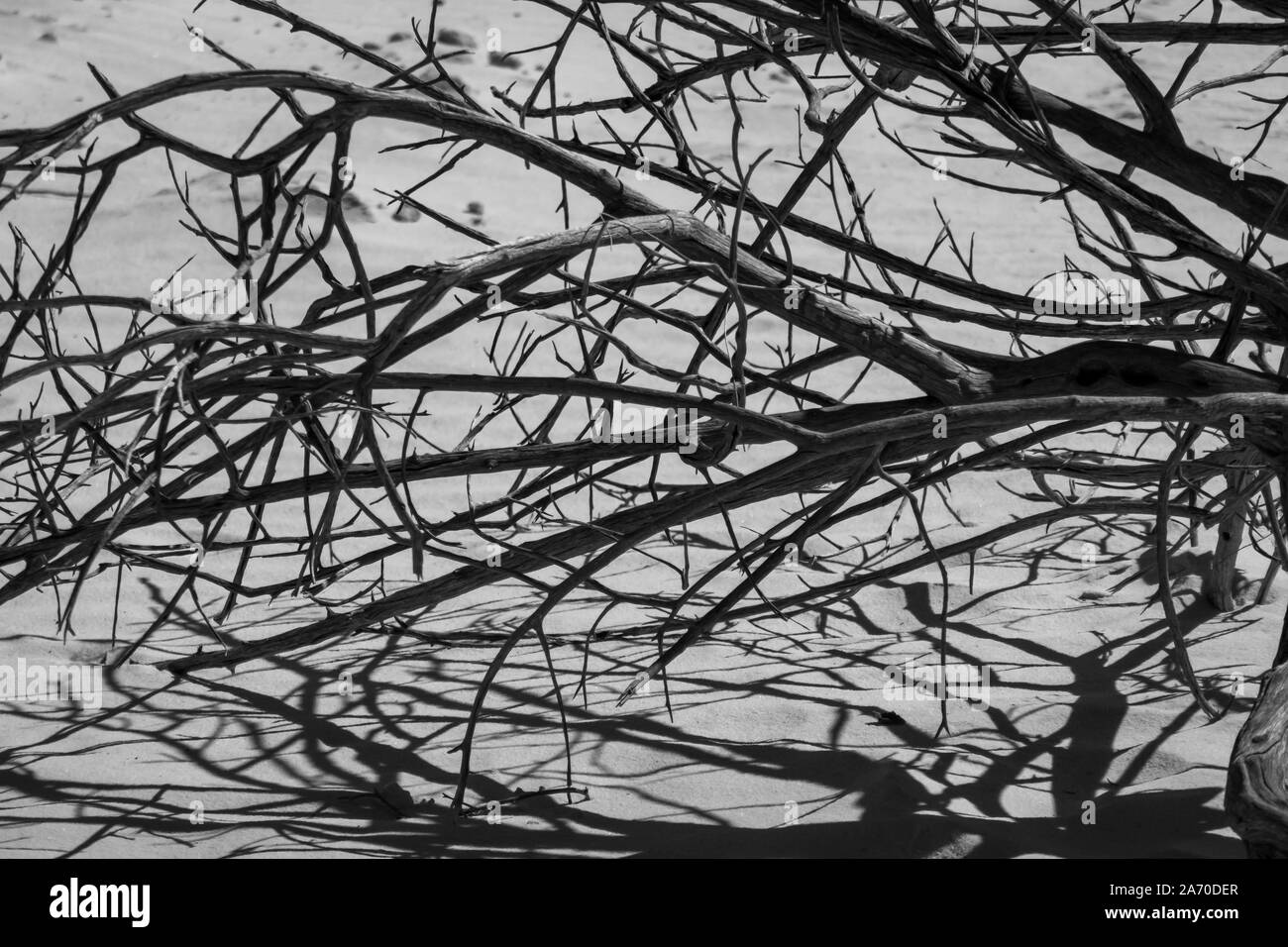 Fine Art Abstract Stock Photo - Alamy