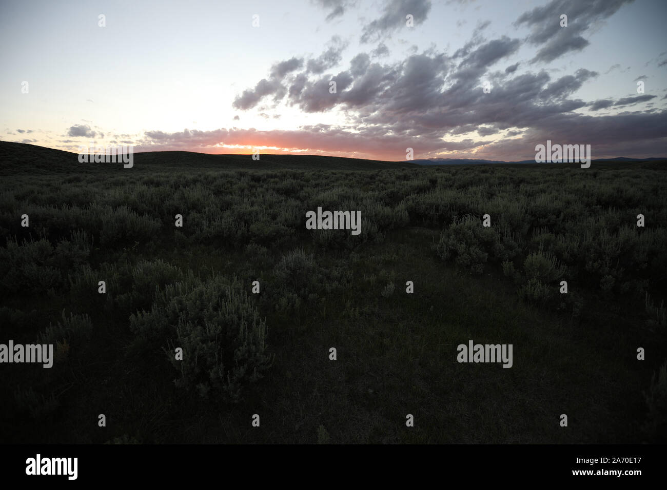 Prairie color hi-res stock photography and images - Alamy